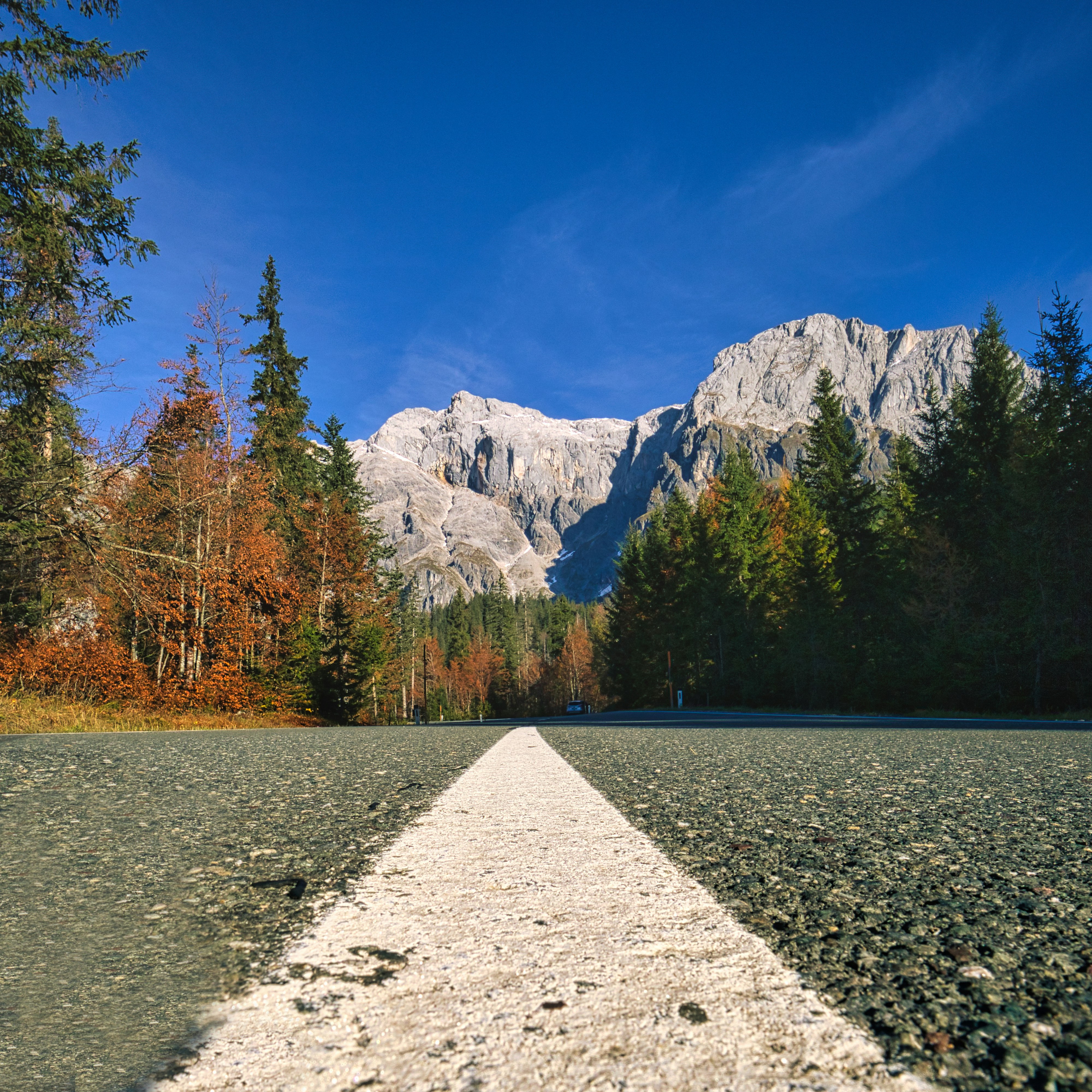 Journey Through Nature's Grandeur