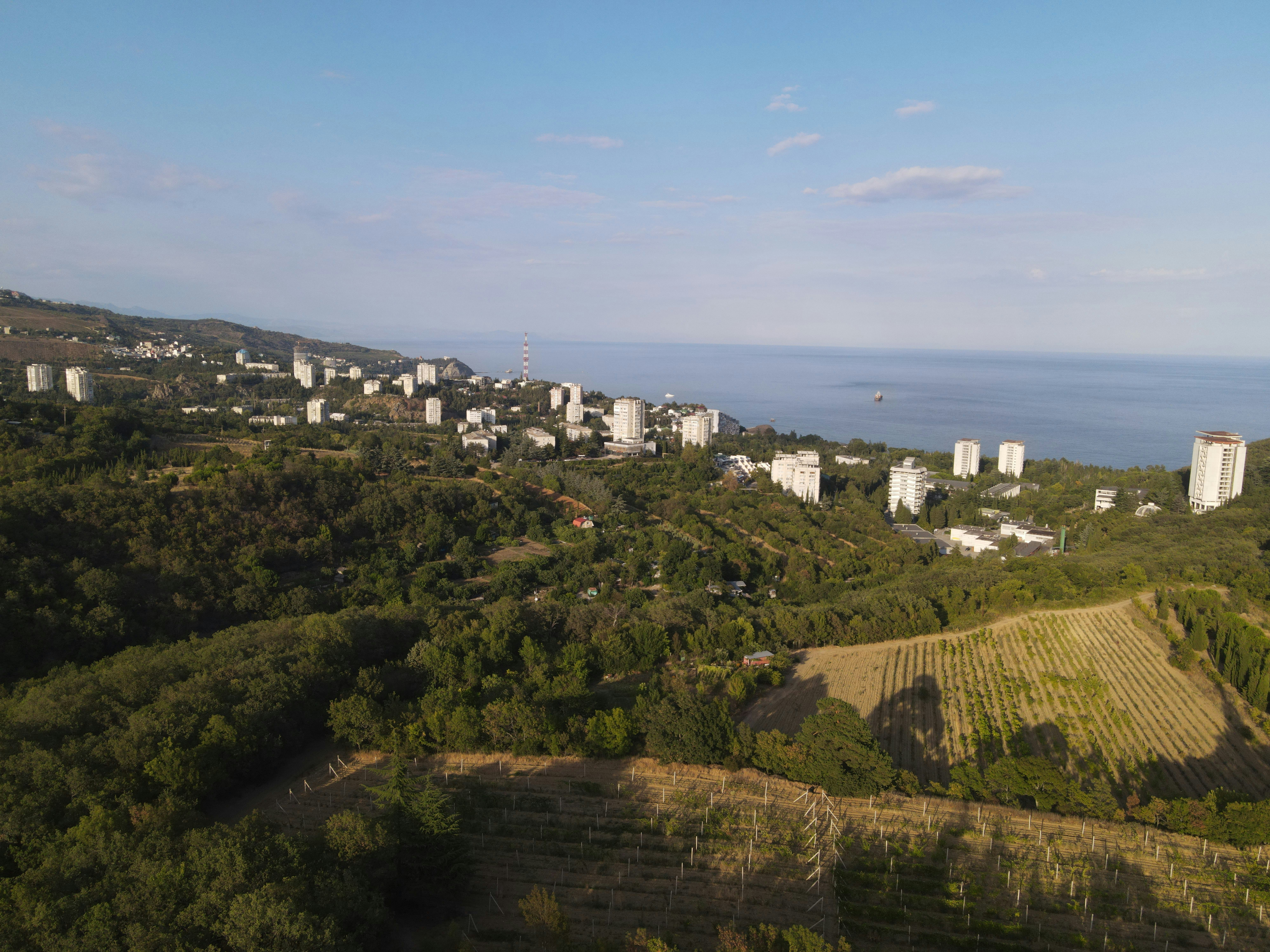 An aerial view of a city on a hill photo – Free Forest Image on Unsplash