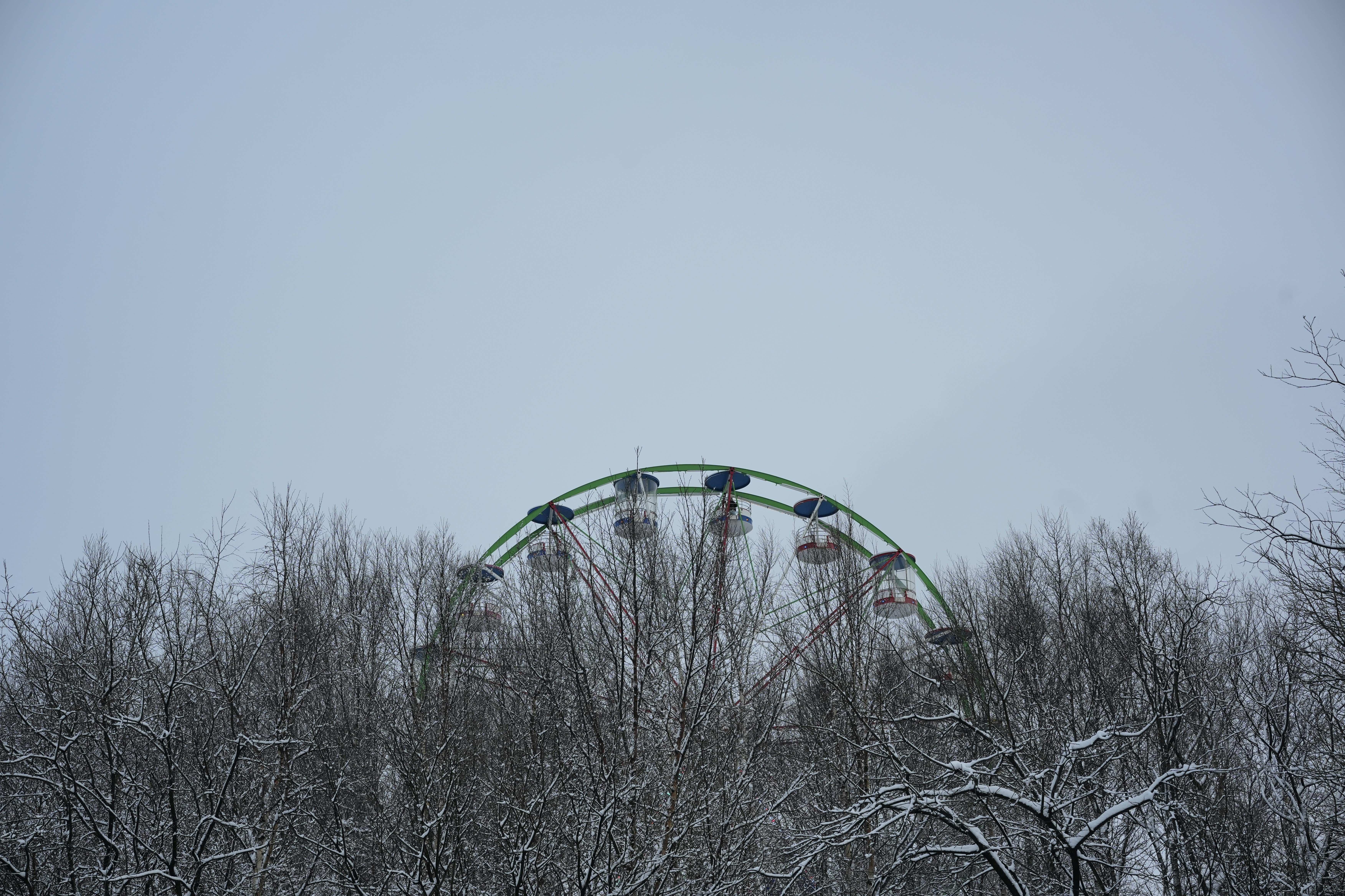 Ferris Wheel Peeking Through a Snow-Kissed Forest in Quiet Winter Light