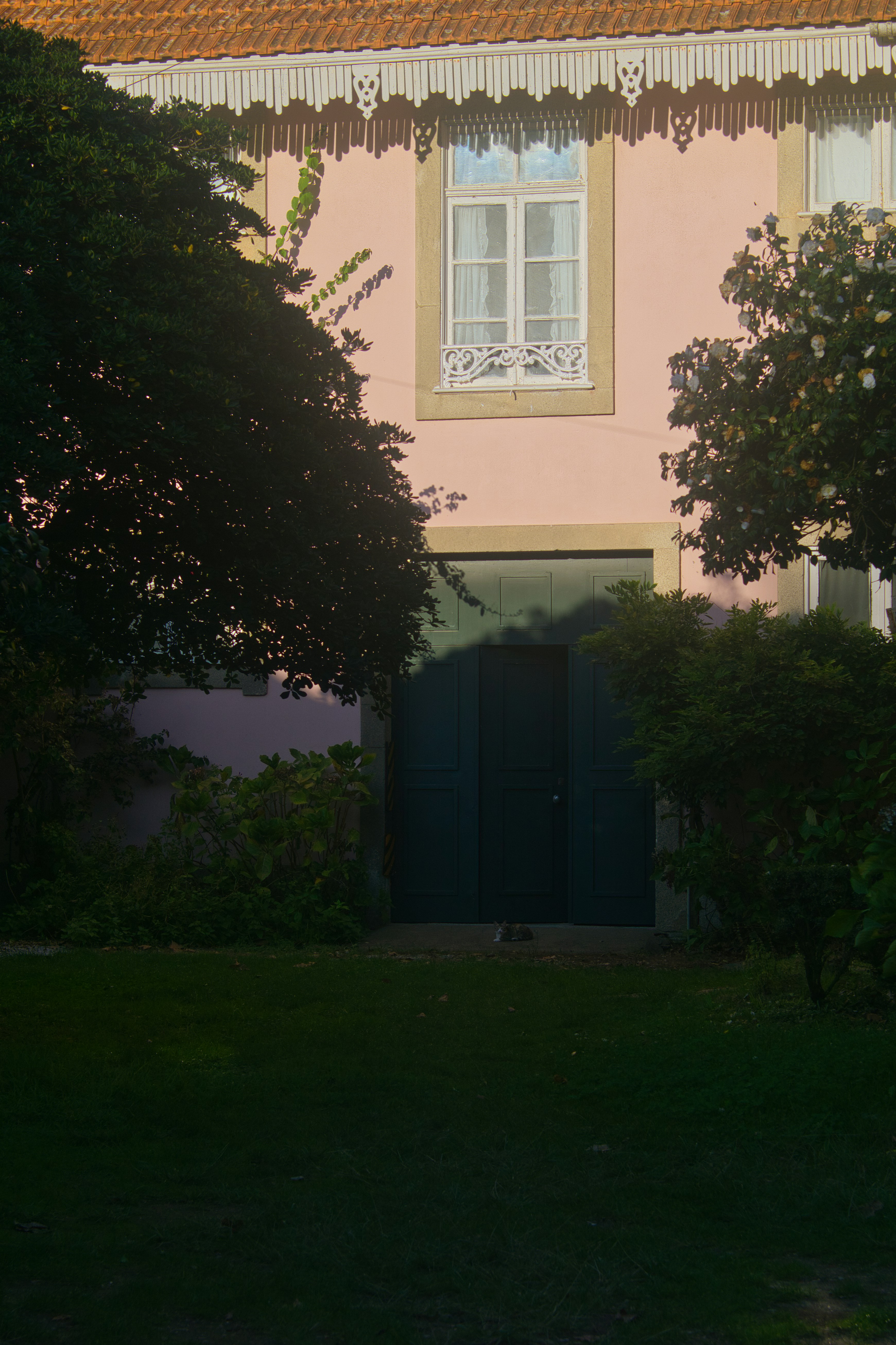 Indigo Doors Against a Pink Facade: A Quiet Garden Entrance