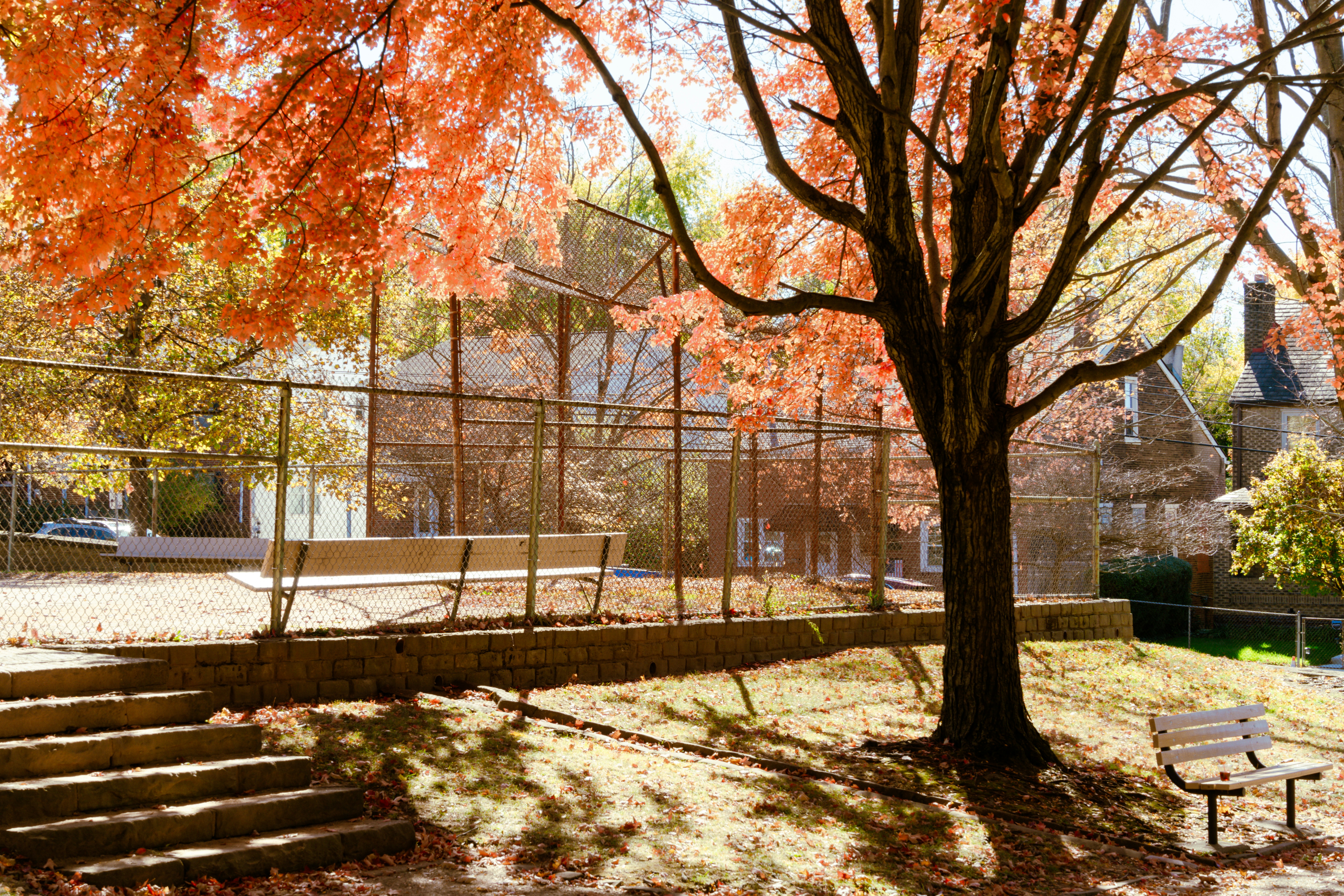 Photo by Zhen Yao with Sony Alpha 7R IV