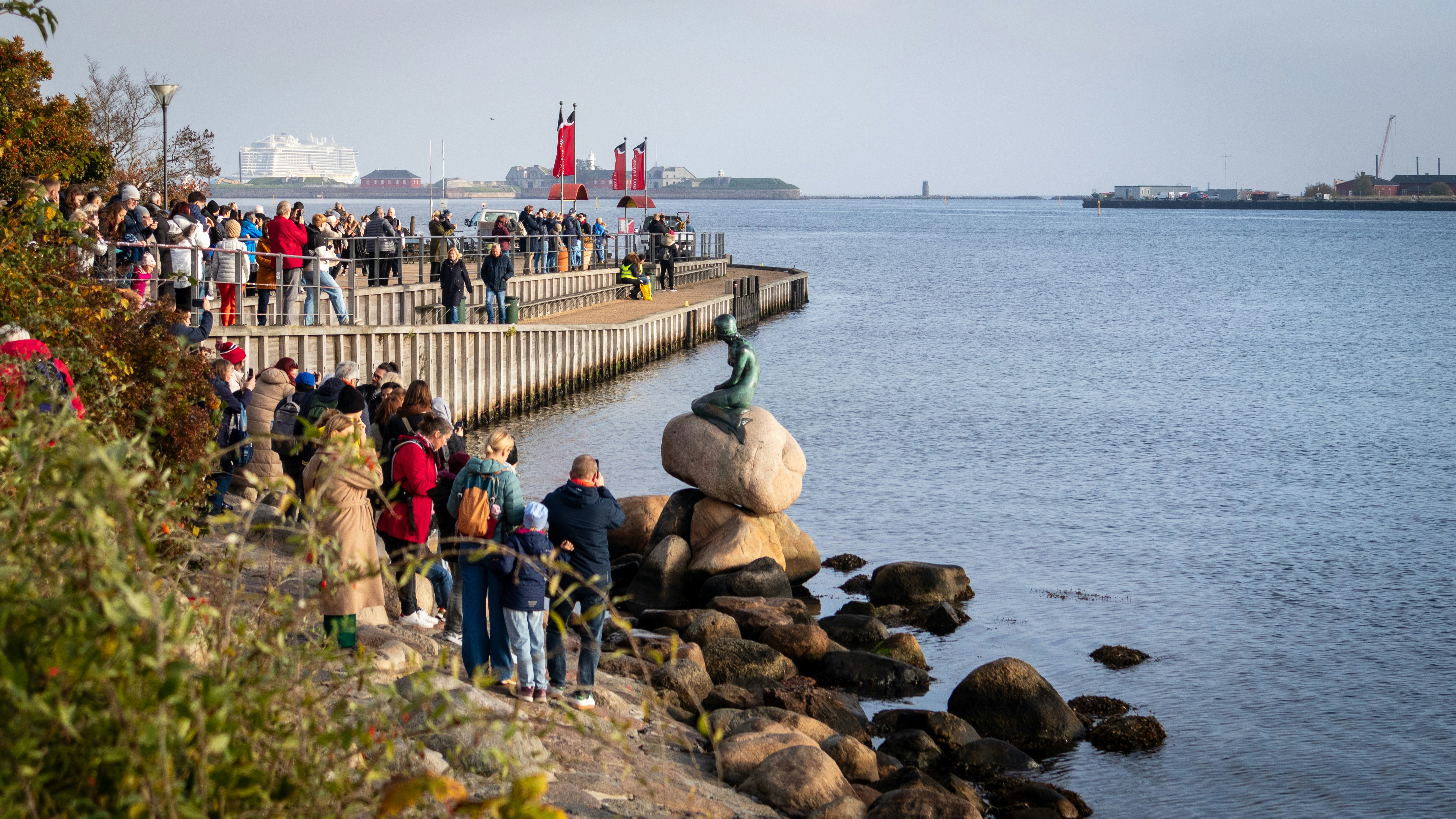 Admirers of the little mermaid
