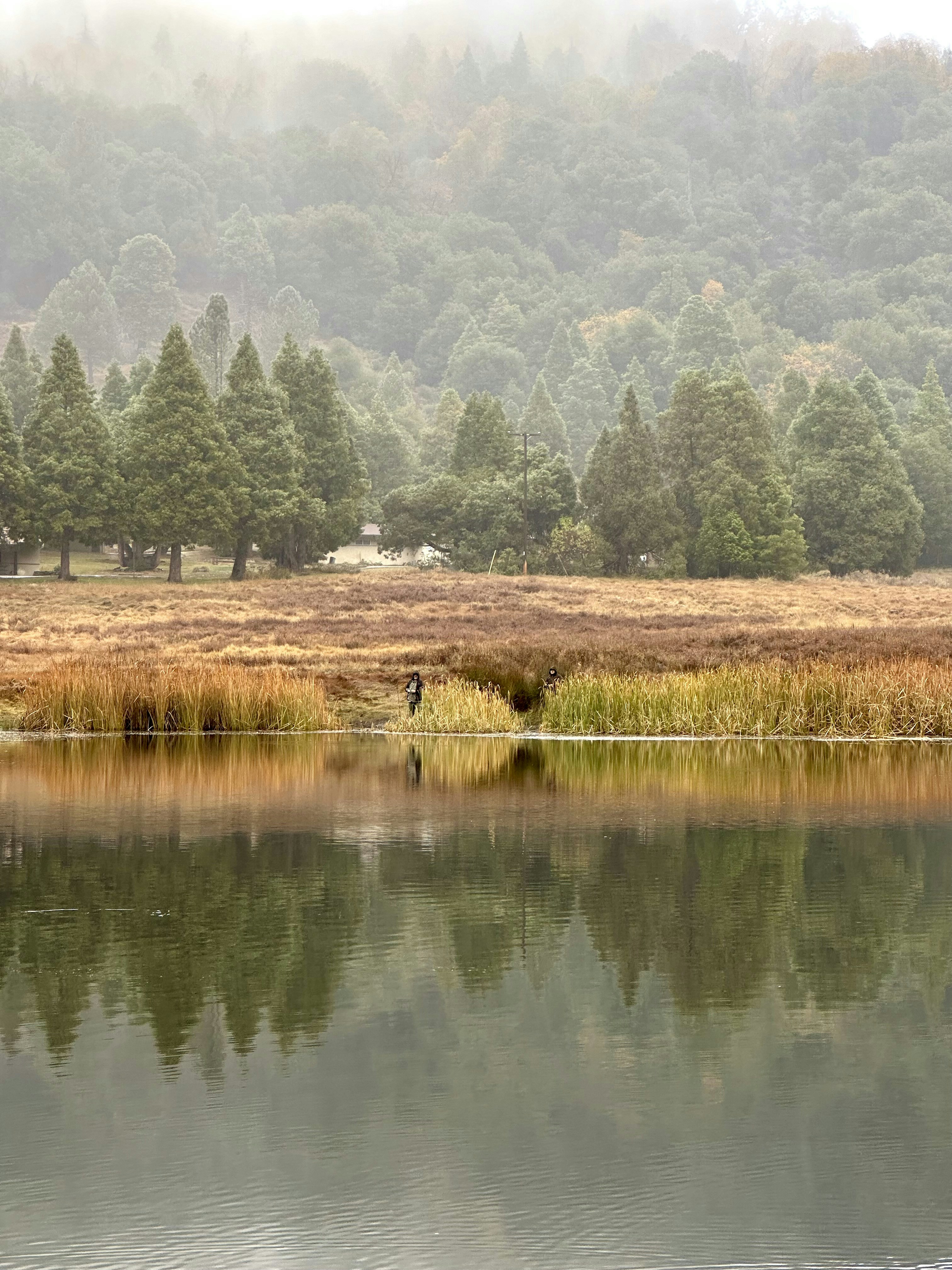 Solitary Angler by the Mist-Softened Lakeshore