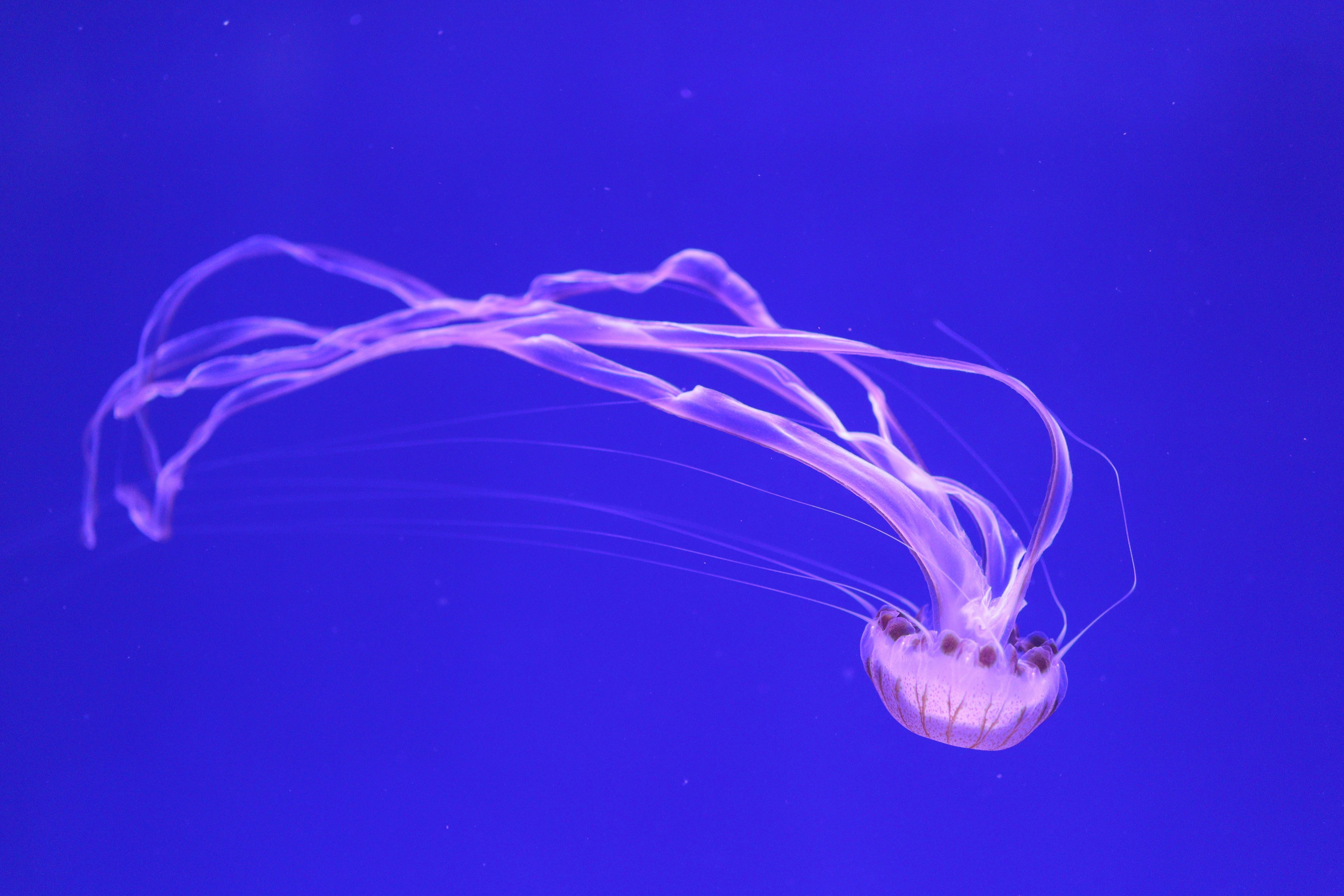 Photo by Sviatoslav Fedorov with Canon EOS M50 Mark II