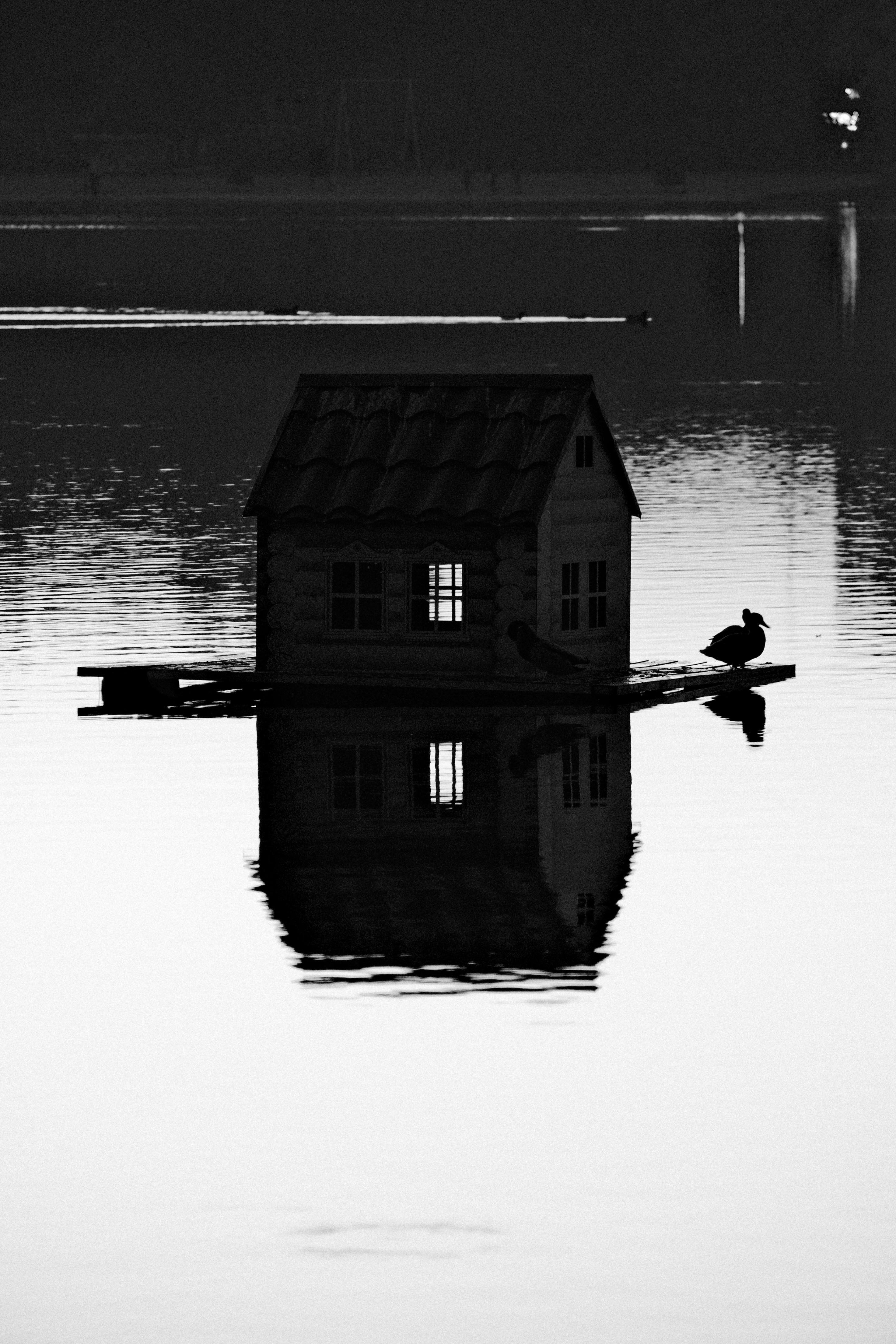 Lantern on the Lake: A Tiny Floating House and Its Quiet Reflection