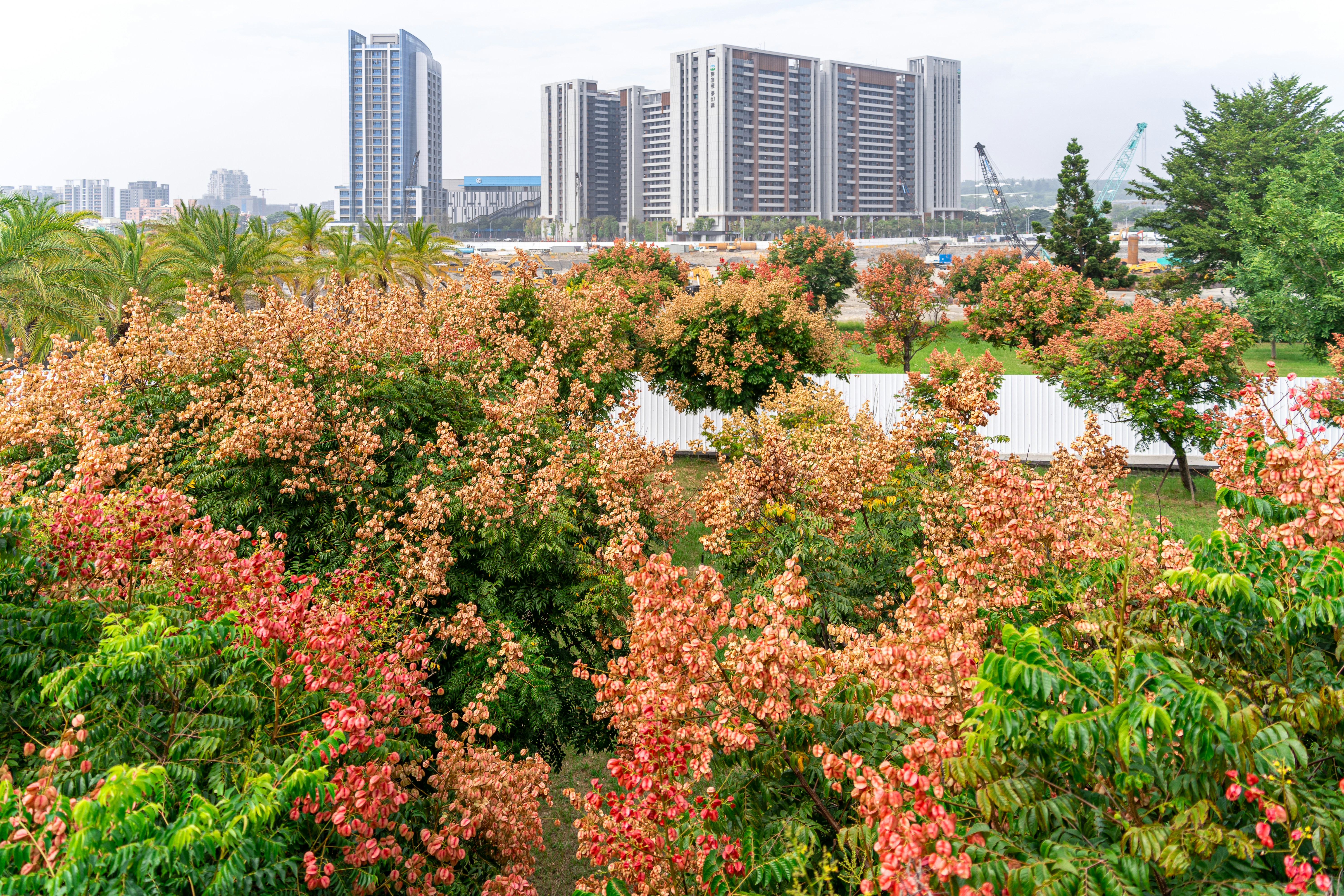 Photo by Winston Chen with Sony Alpha 7 III