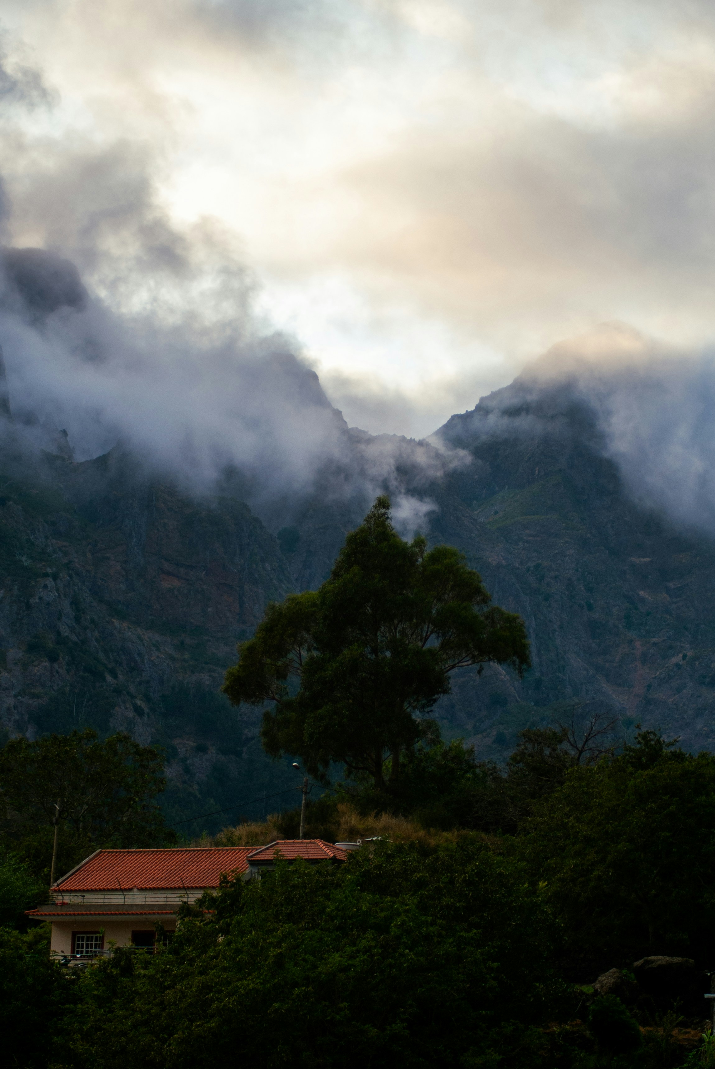 Mist-shrouded mountains loom behind a lone tree in the foreground. A red-roofed house sits at the valley edge amid lush greenery.