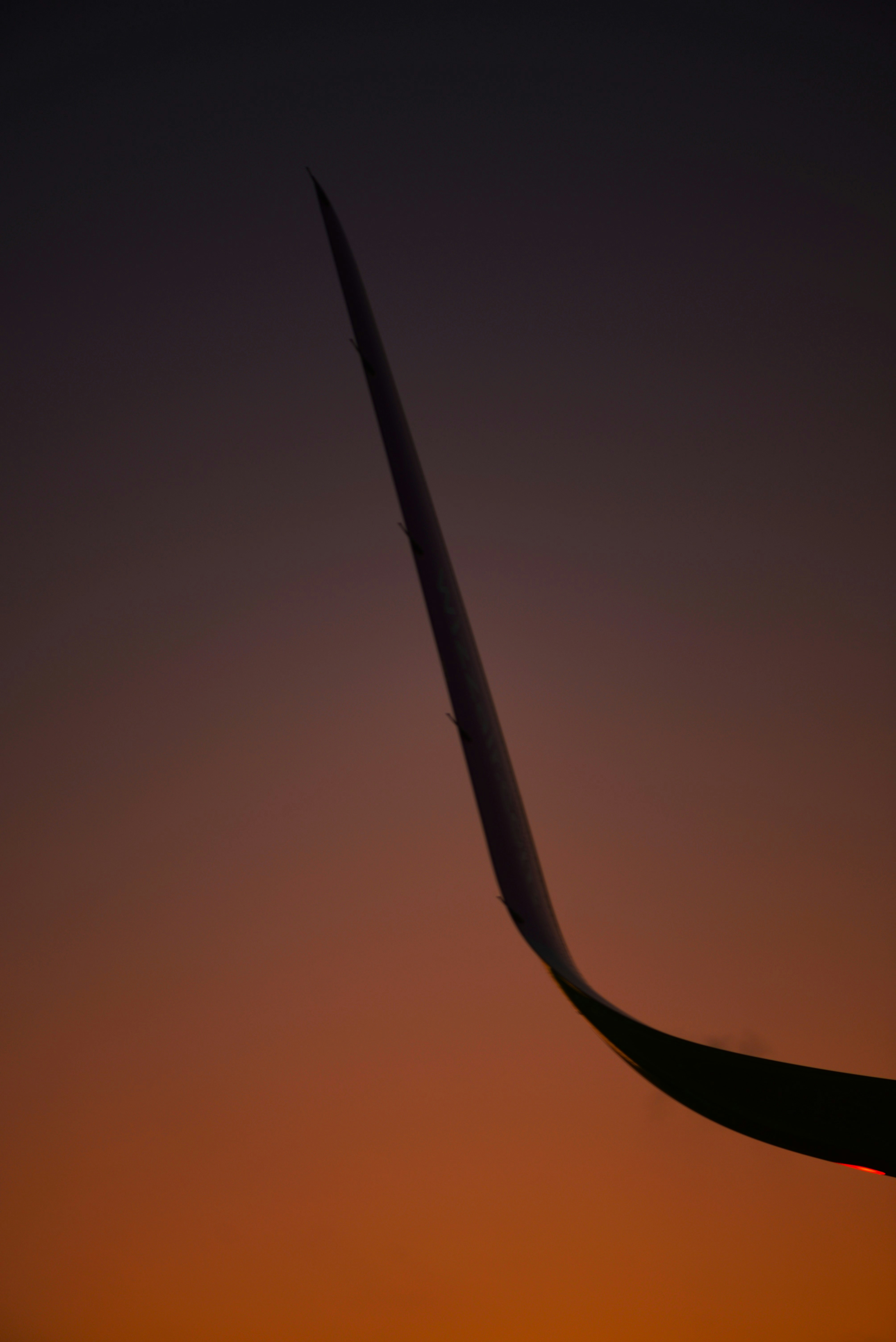 The silhouette of an airplane wing arcs gracefully against a gradient twilight sky, showcasing the transition from day to night.