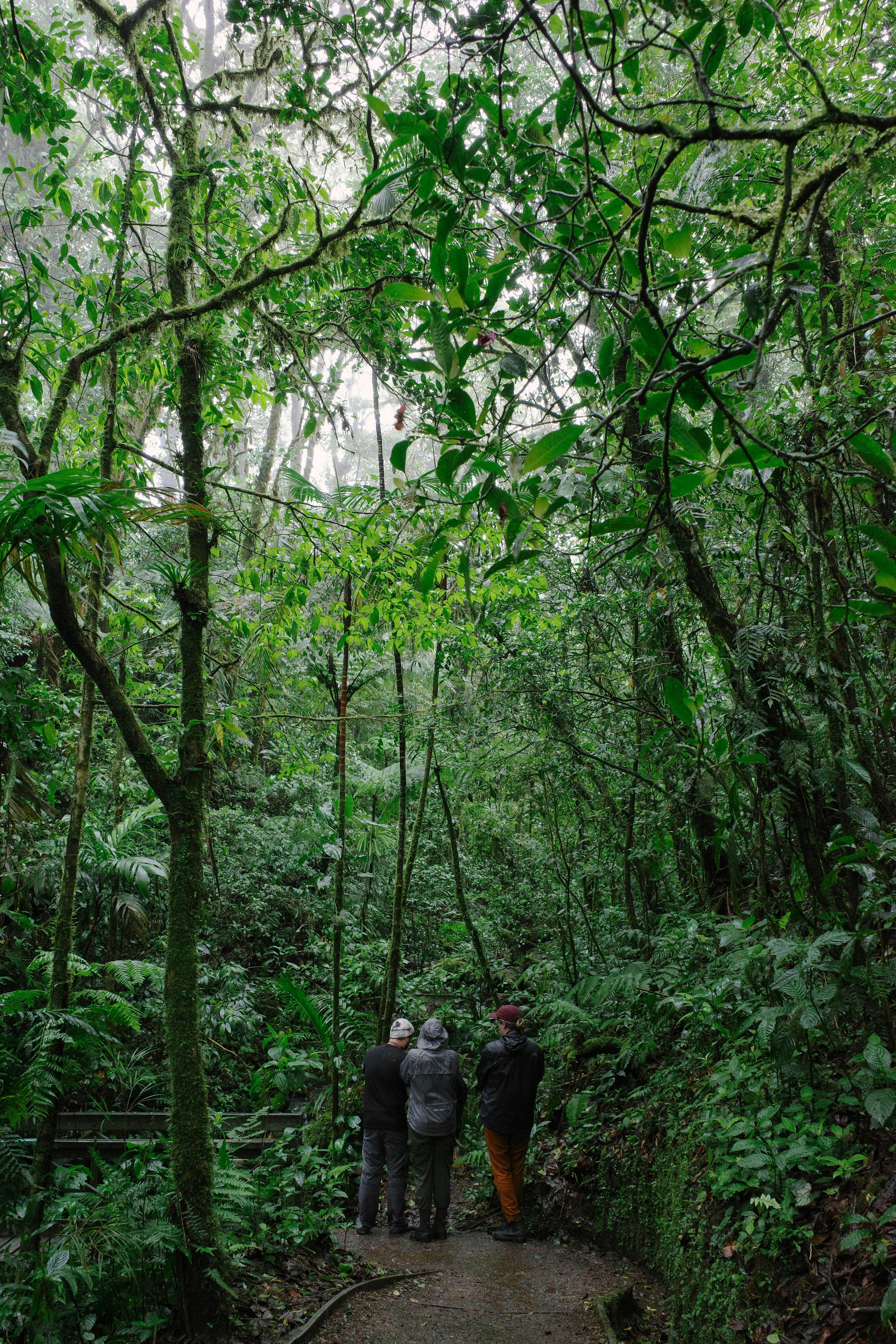 Photo by Giulia Squillace with Ricoh GR III