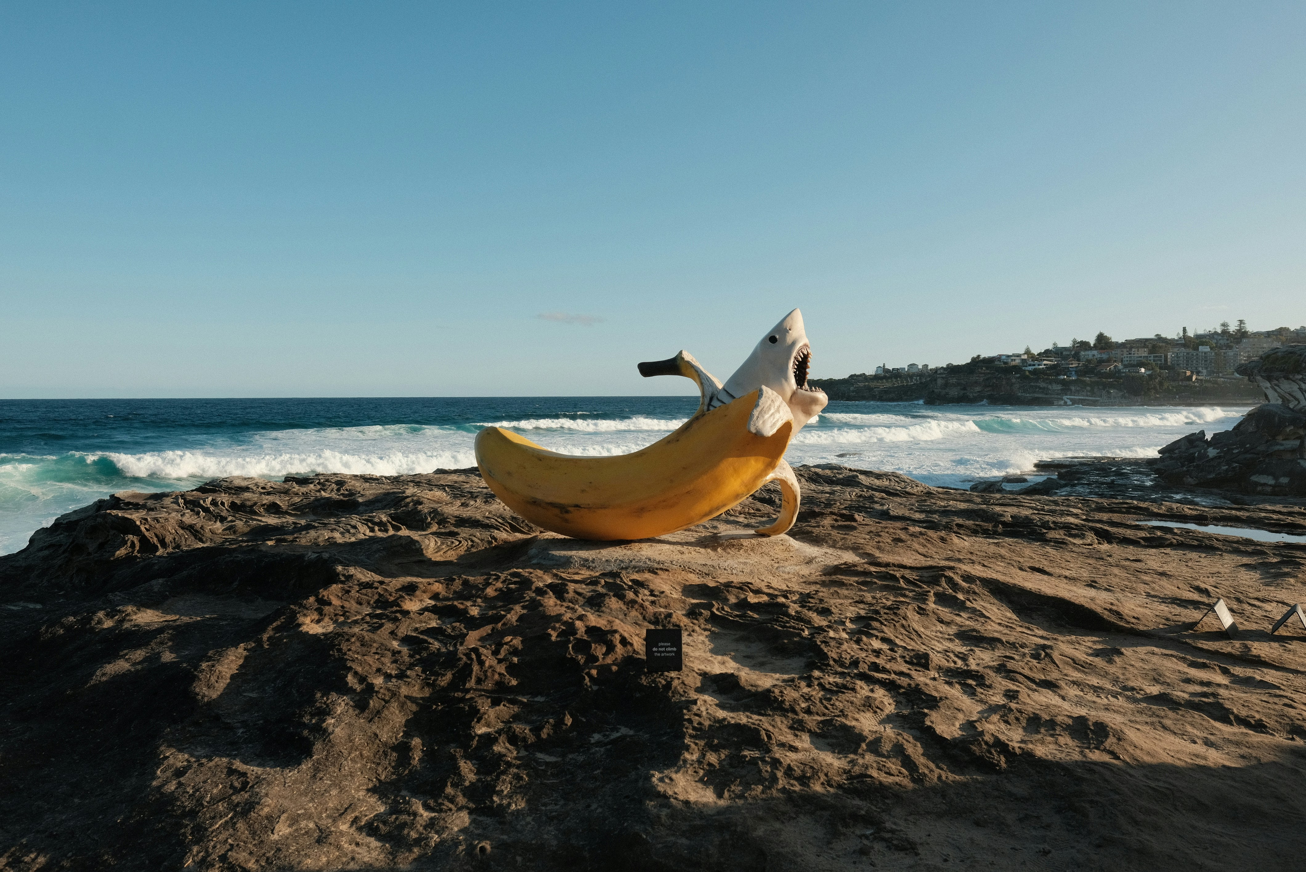 Banana Boat Pictures | Download Free Images on Unsplash