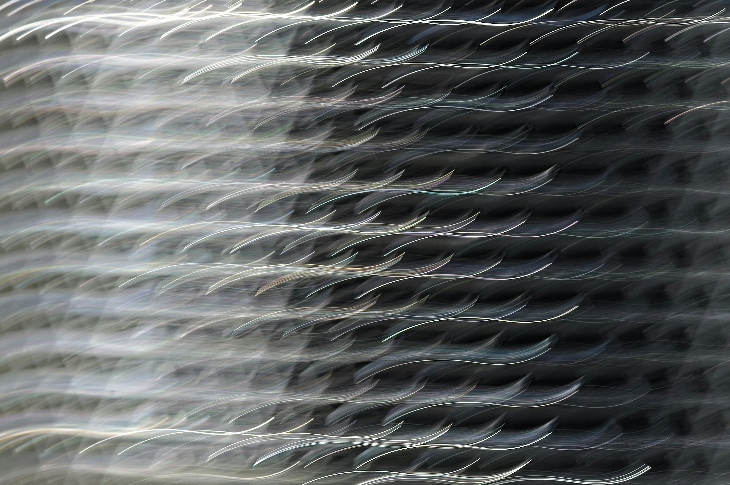 Photo by Robert Clark with Nikon Z6 II