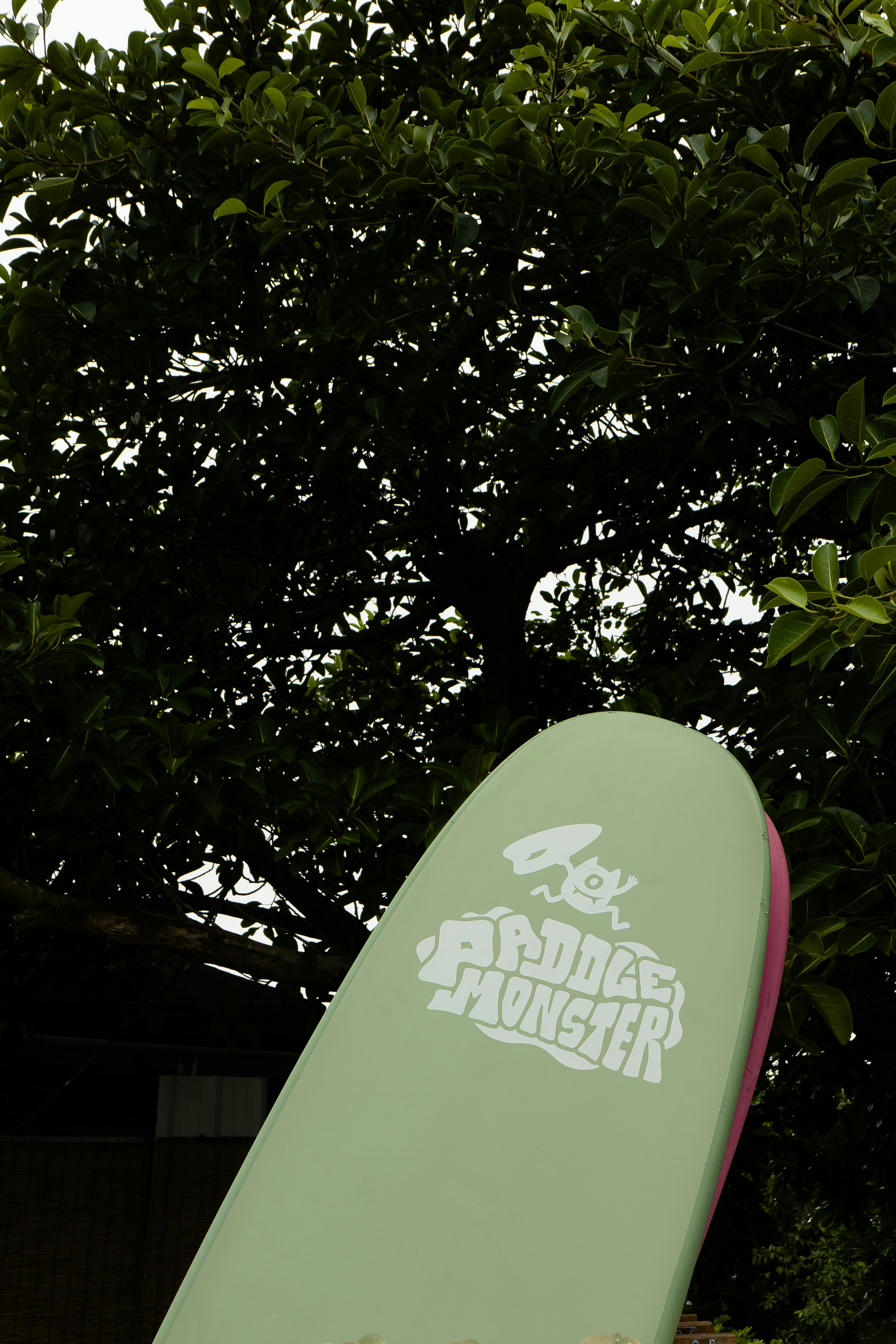Pastel mint-green surfboard with a white logo rests upright beneath a dense tree canopy; the contrast highlights the board’s graphic against shadowy foliage.