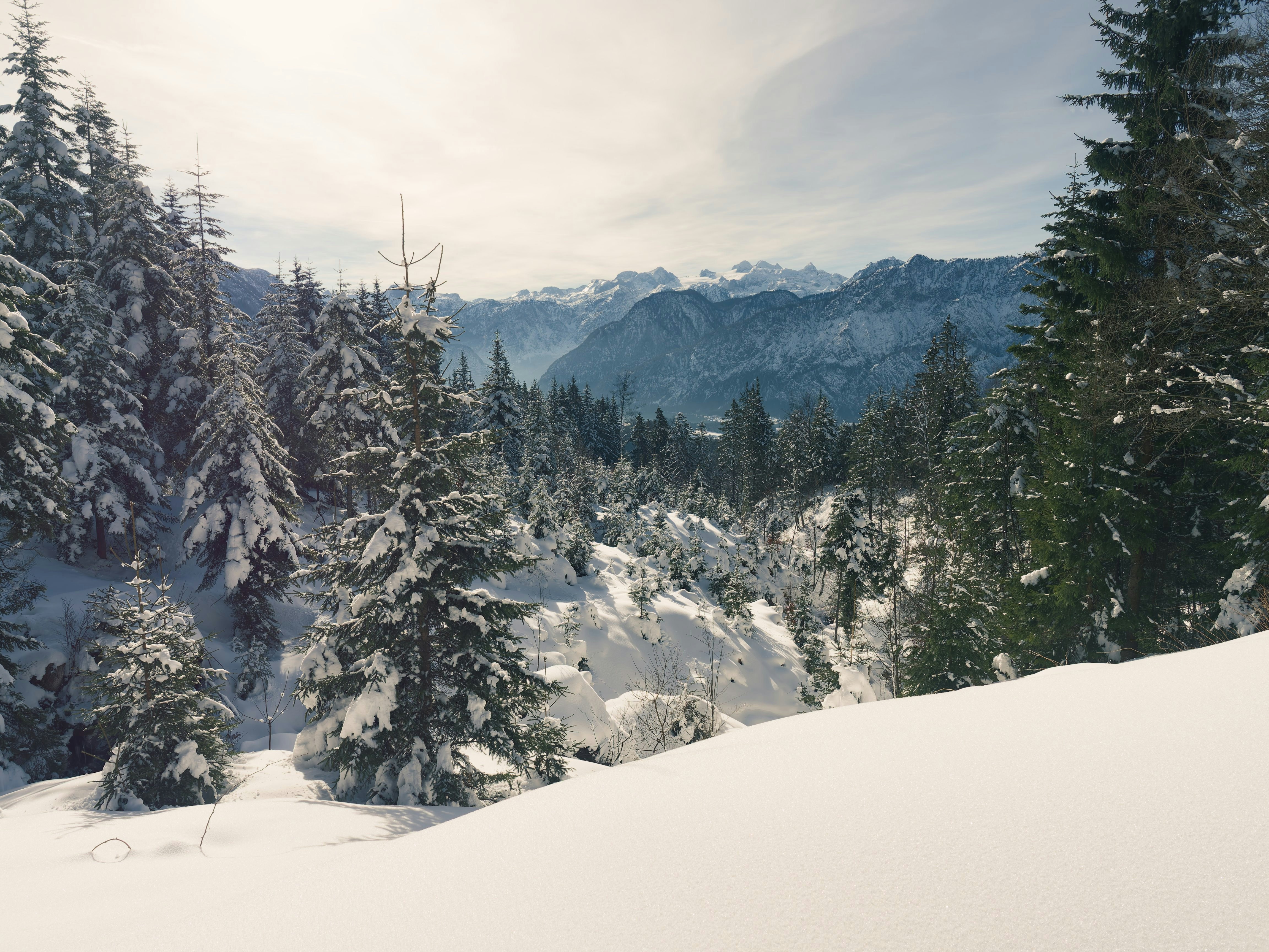 A person skiing down a snow covered slope photo – Free Forest Image on ...