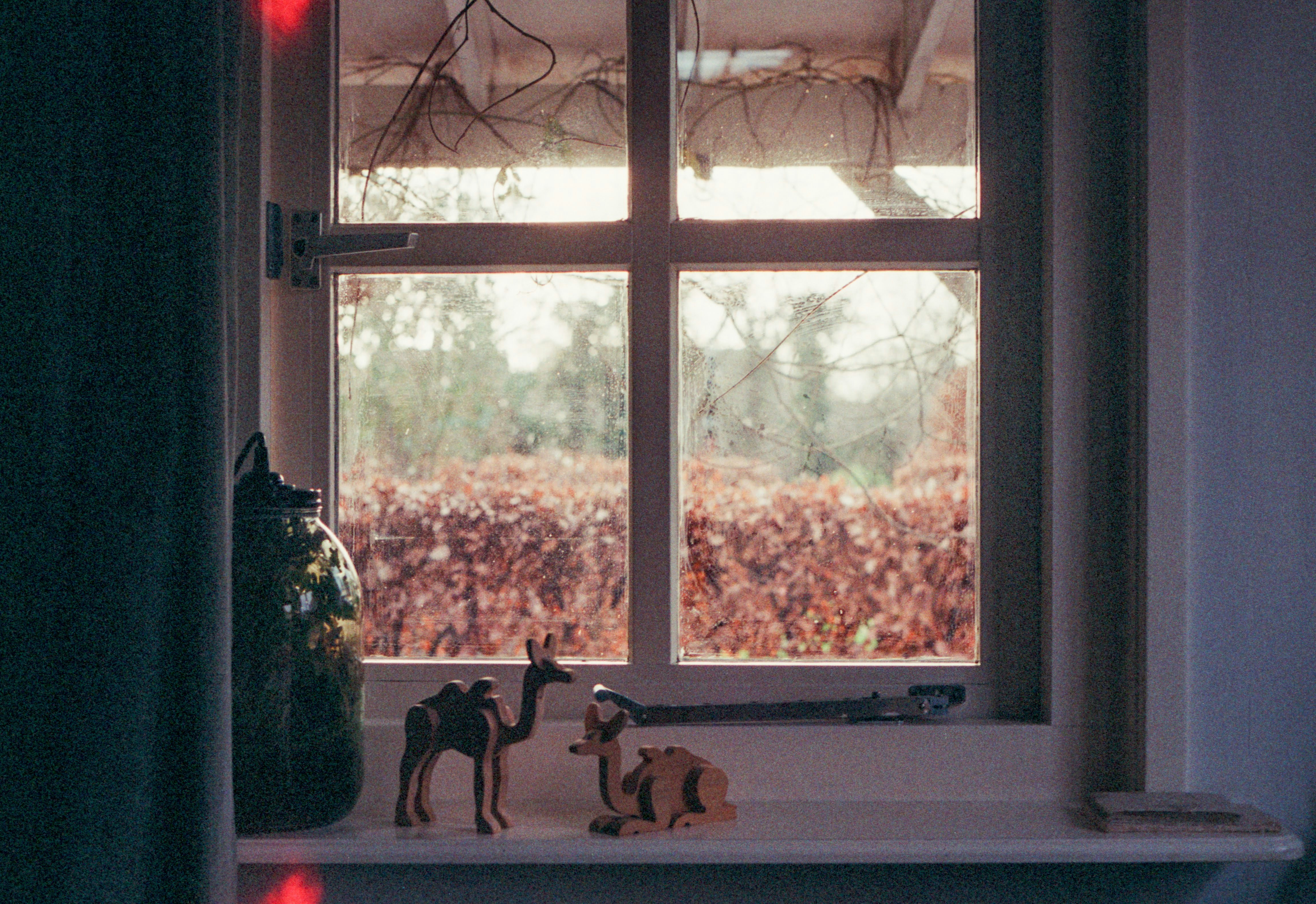 Photo by Chris Weiher with Plustek OpticFilm 8300i