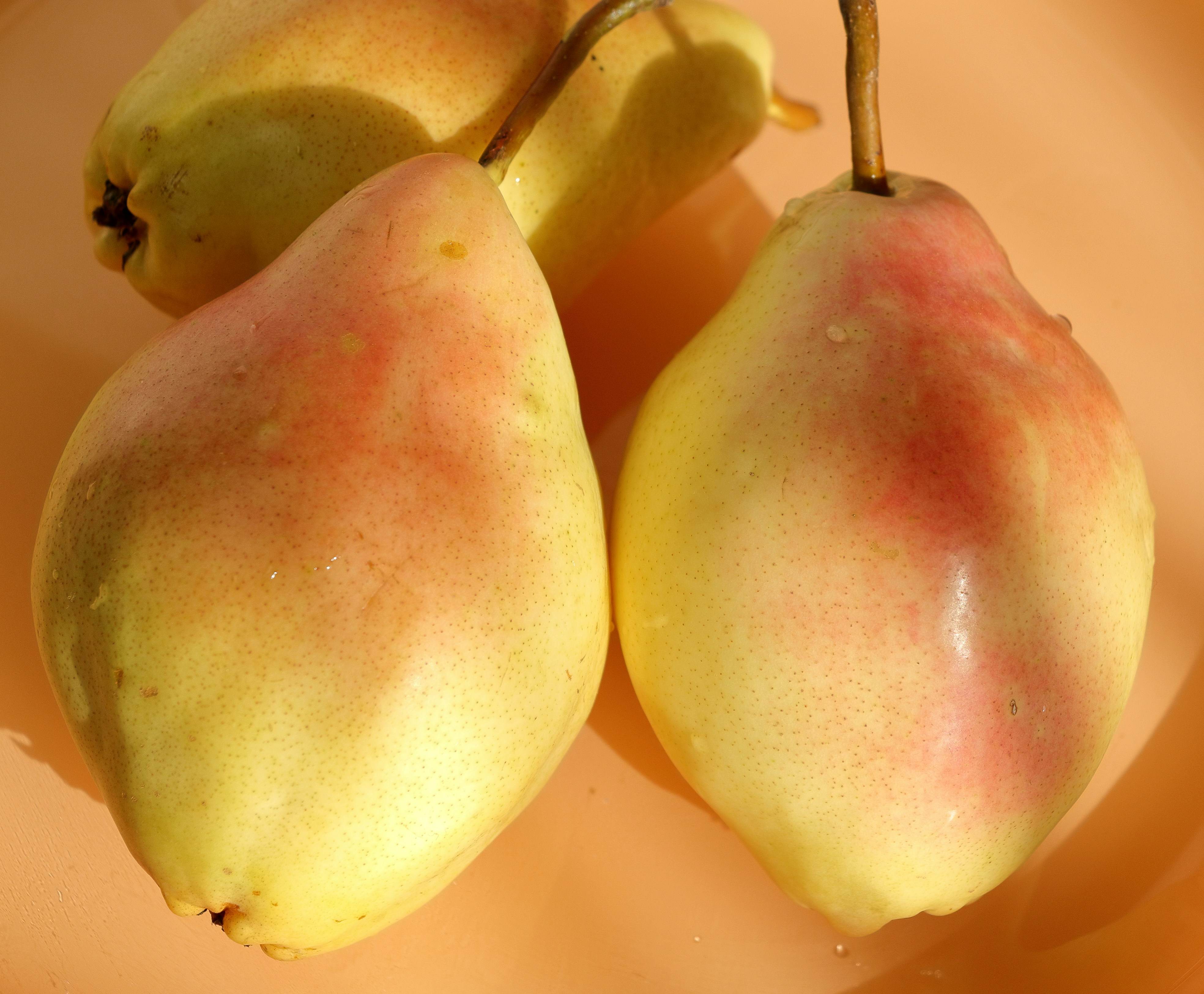 Amber Light Portrait: Close-Up of Pears with Soft Pink Blush