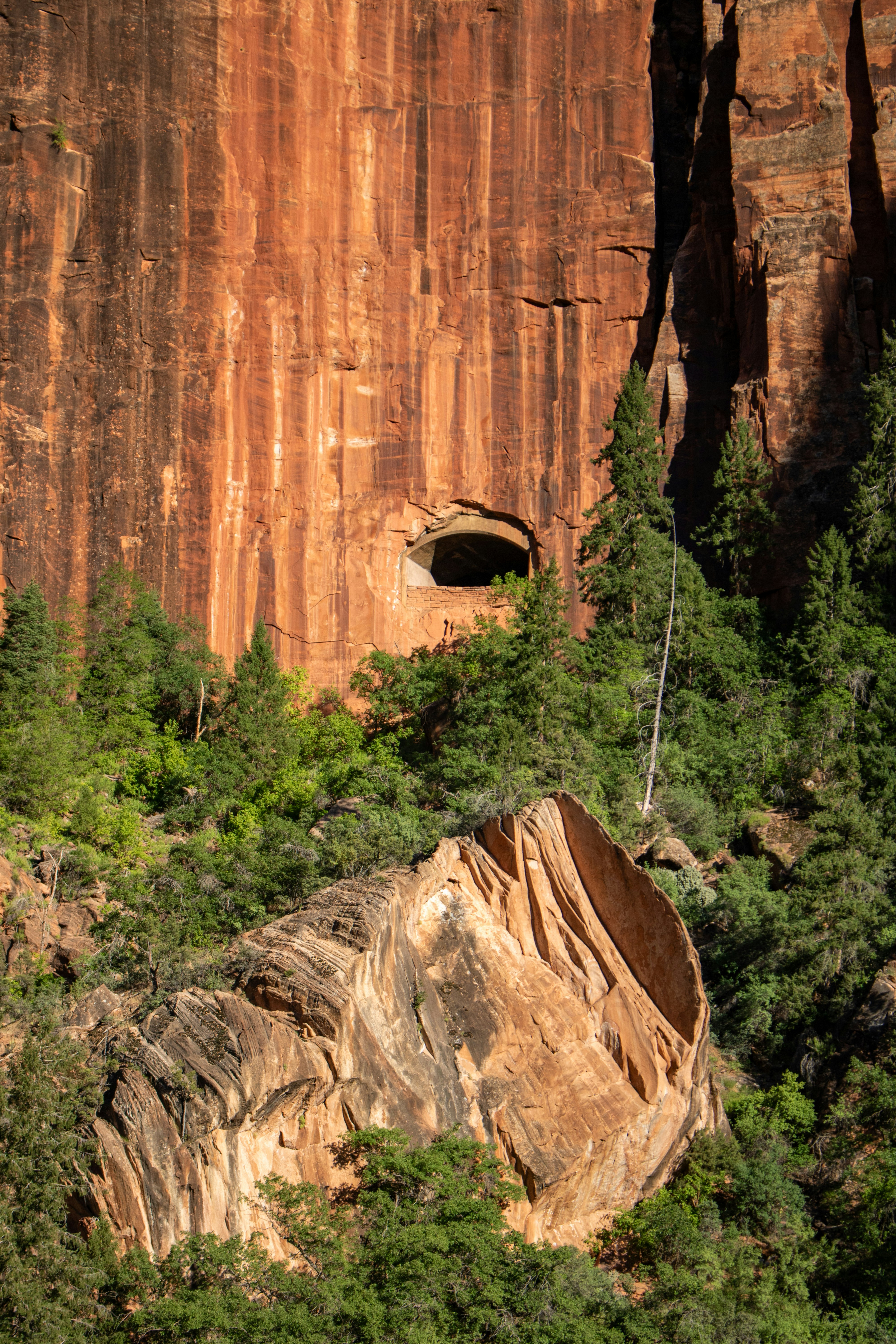 Crimson Cliff Tunnel: A Hidden Gateway Beneath the Pine Canopy