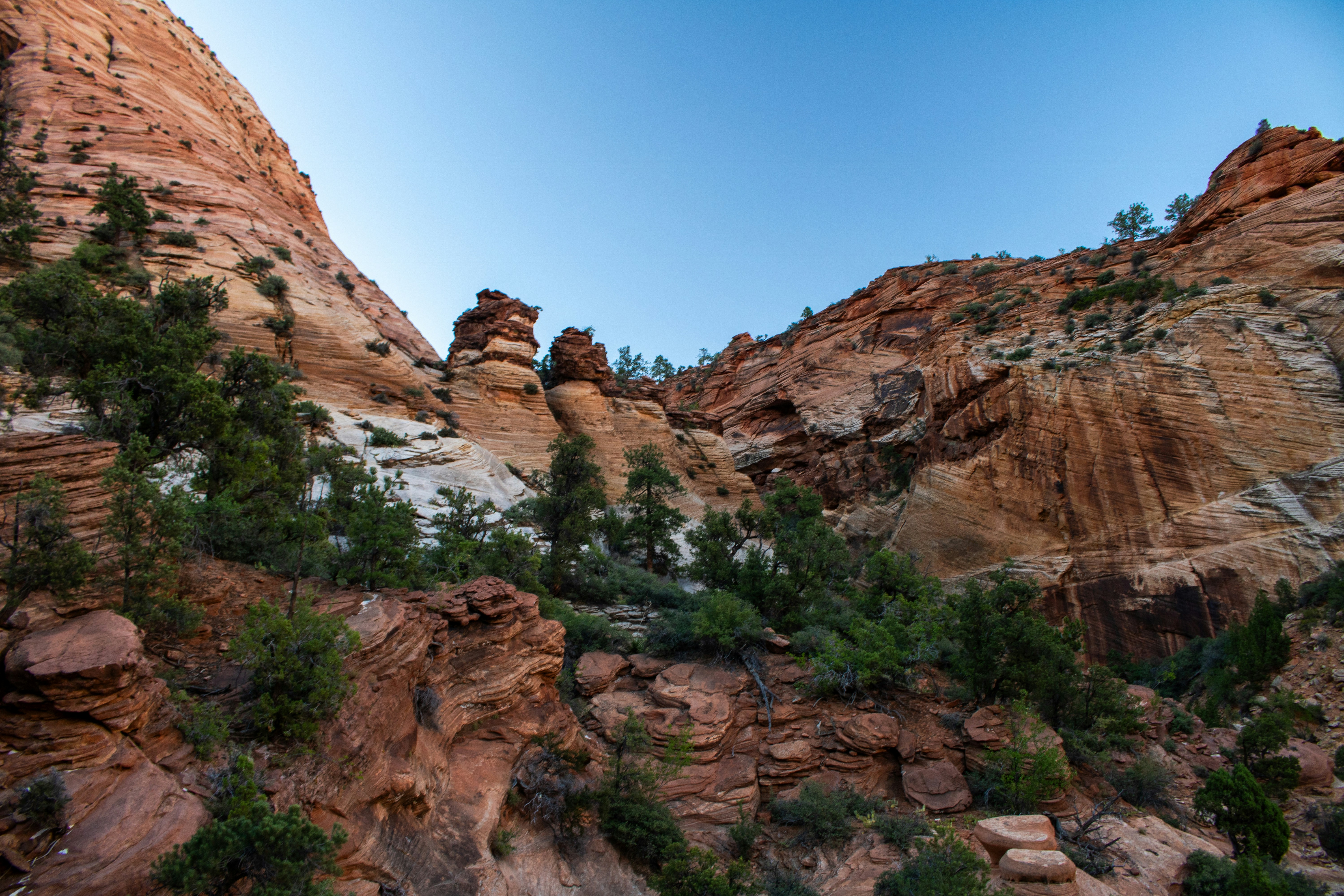 A large rock formation with trees growing out of it photo – Free Zion ...
