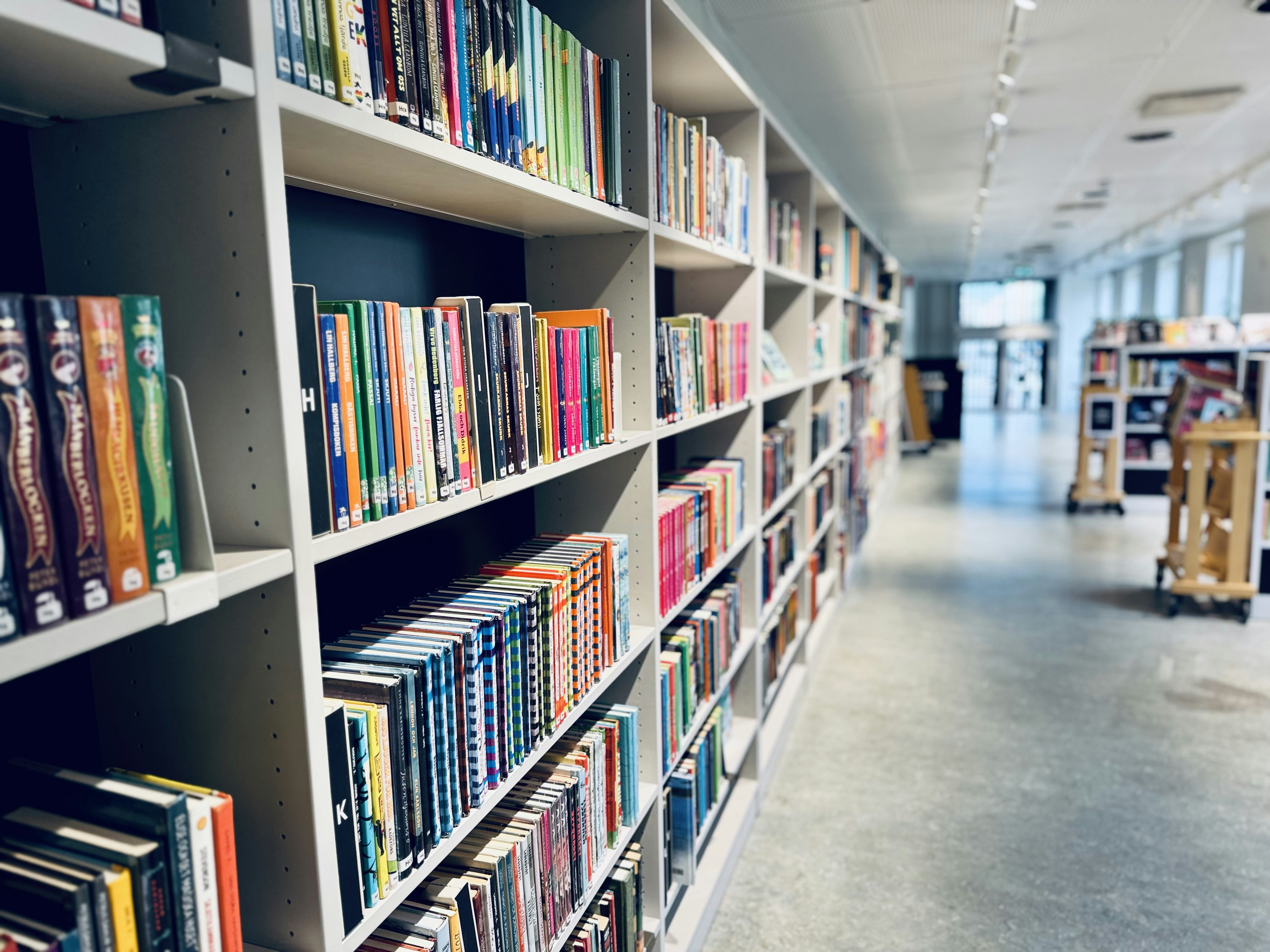 Daniel Forsman (@danielforsman) | Comunidade de fotos da Unsplash