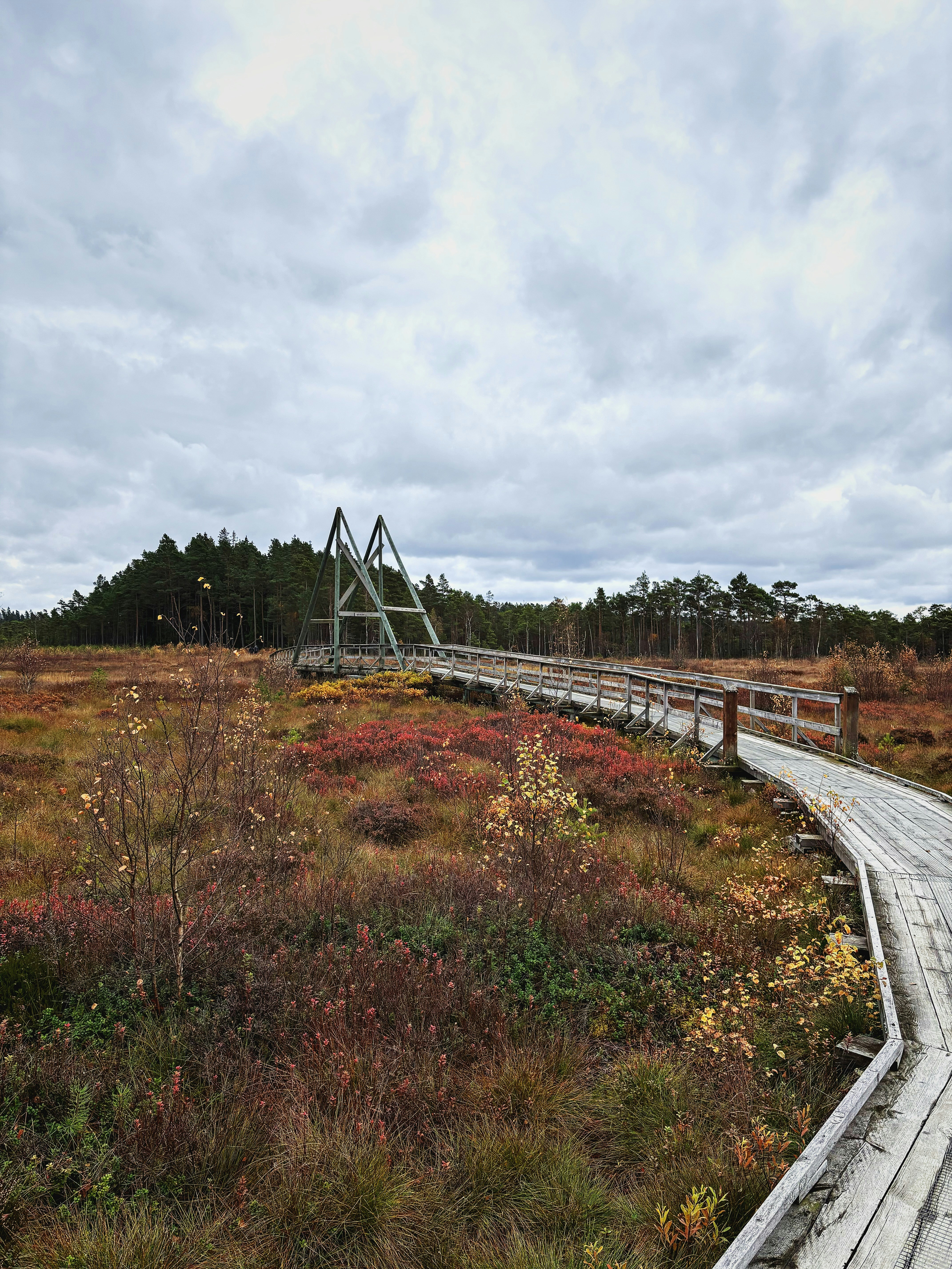 Boardwalk Through Autumn Wildland toward a Blue-Jointed Pedestrian Bridge