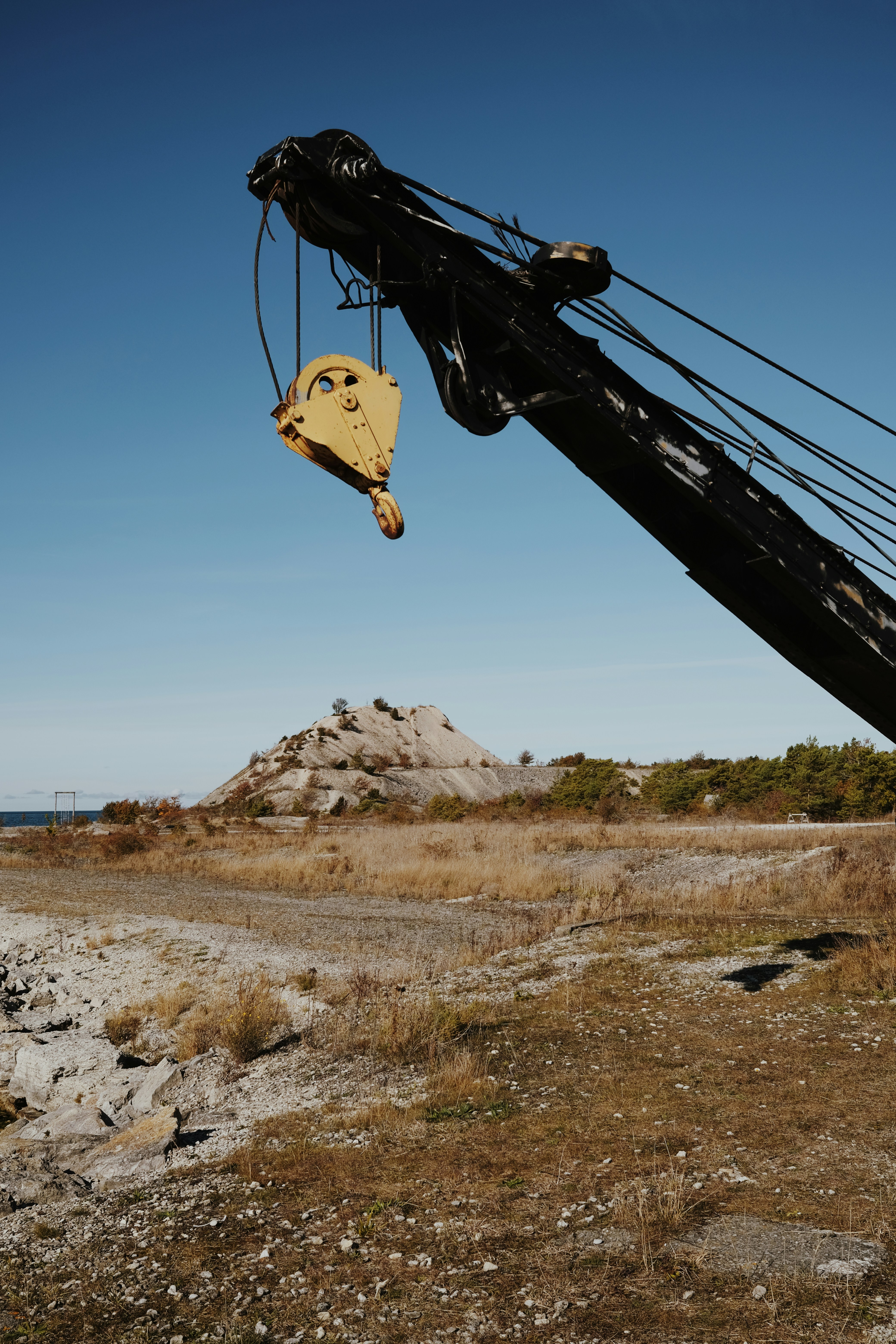 Yellow Hook of Mechanical Goliath Grasping the Sky