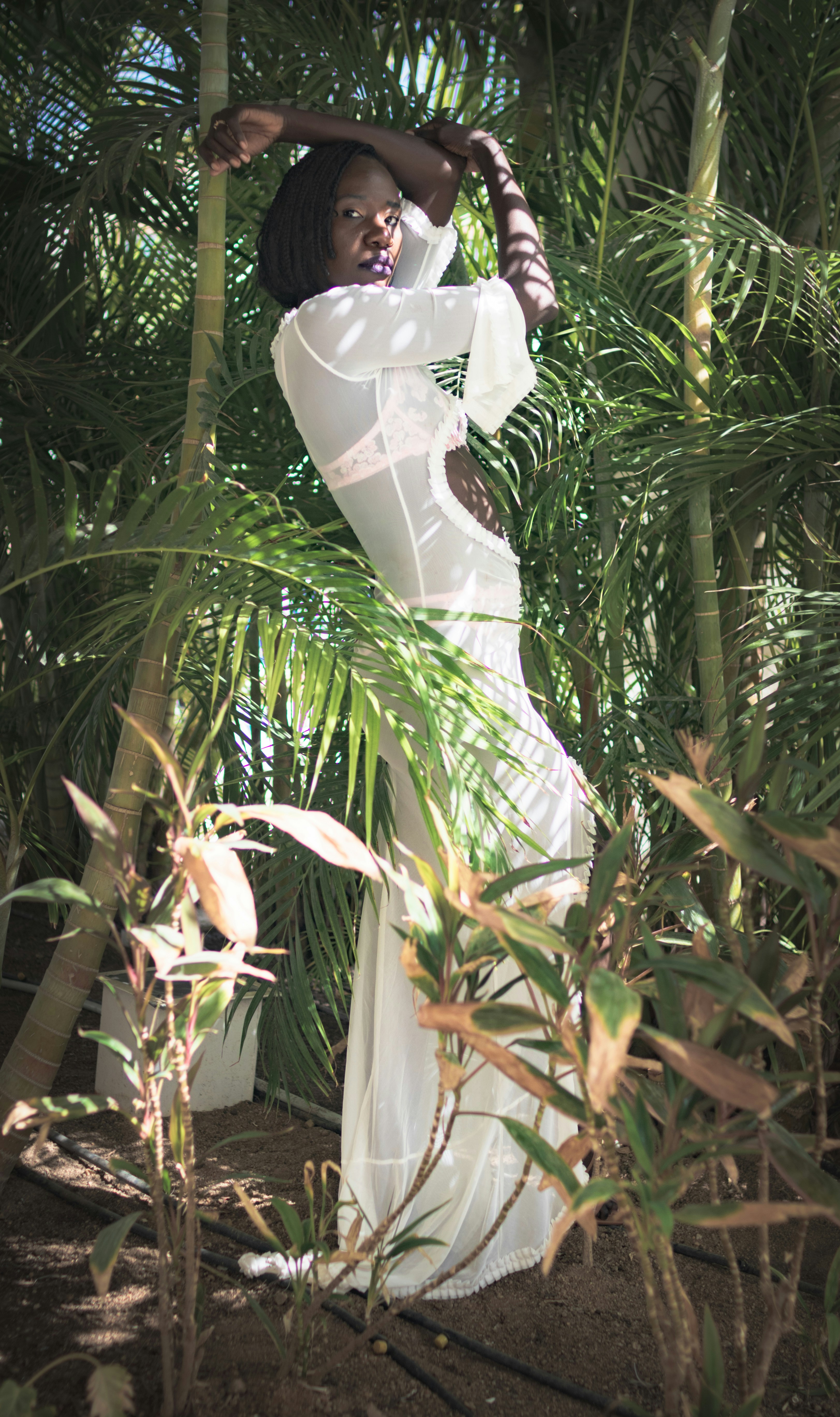 Veil of Light in the Palm Grove: A Dancer in White