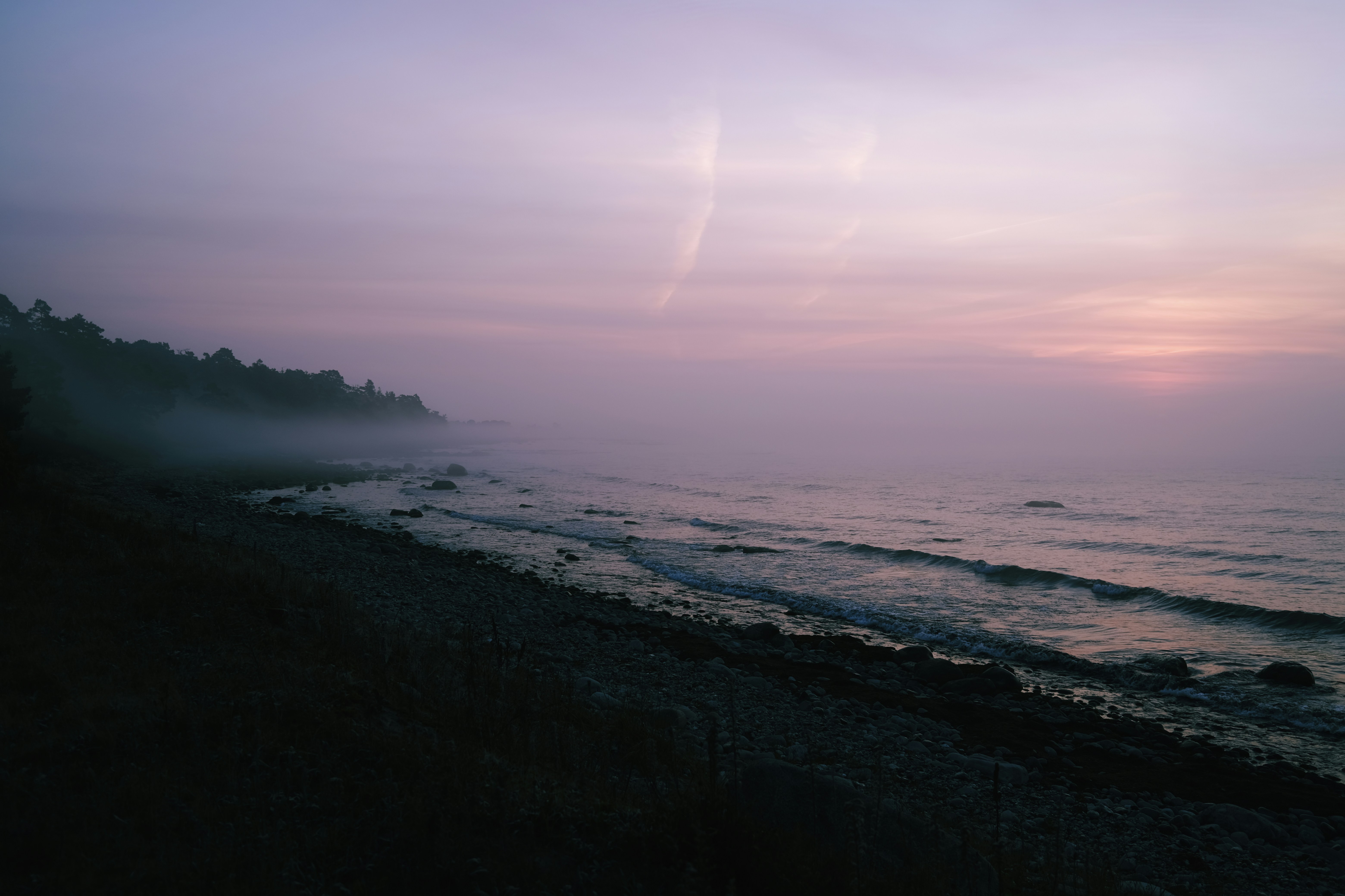Dawn's Lavender Veil: Fog-Swept Shore and Quiet Horizon