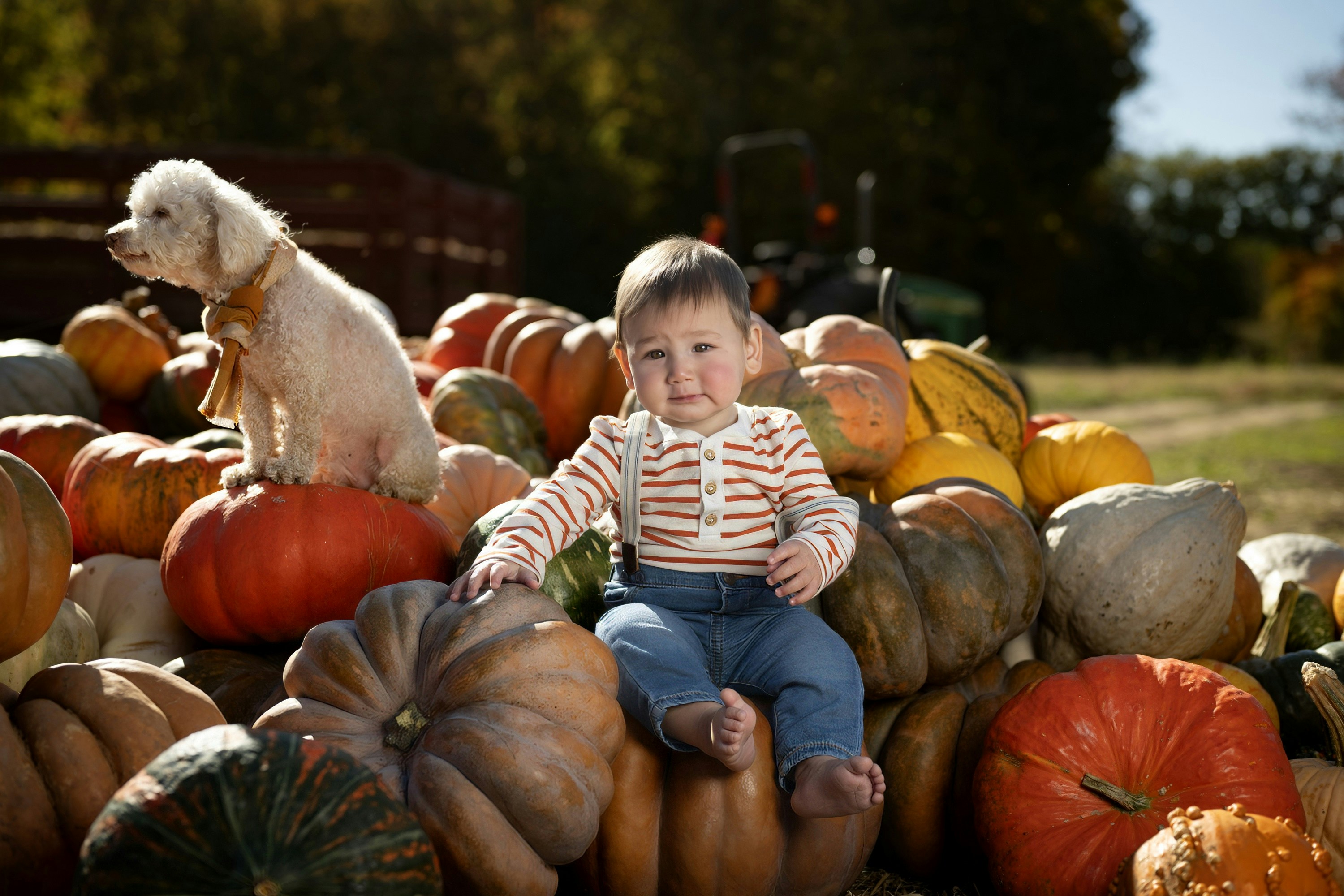 Photo by Christopher Luther with Nikon Z8