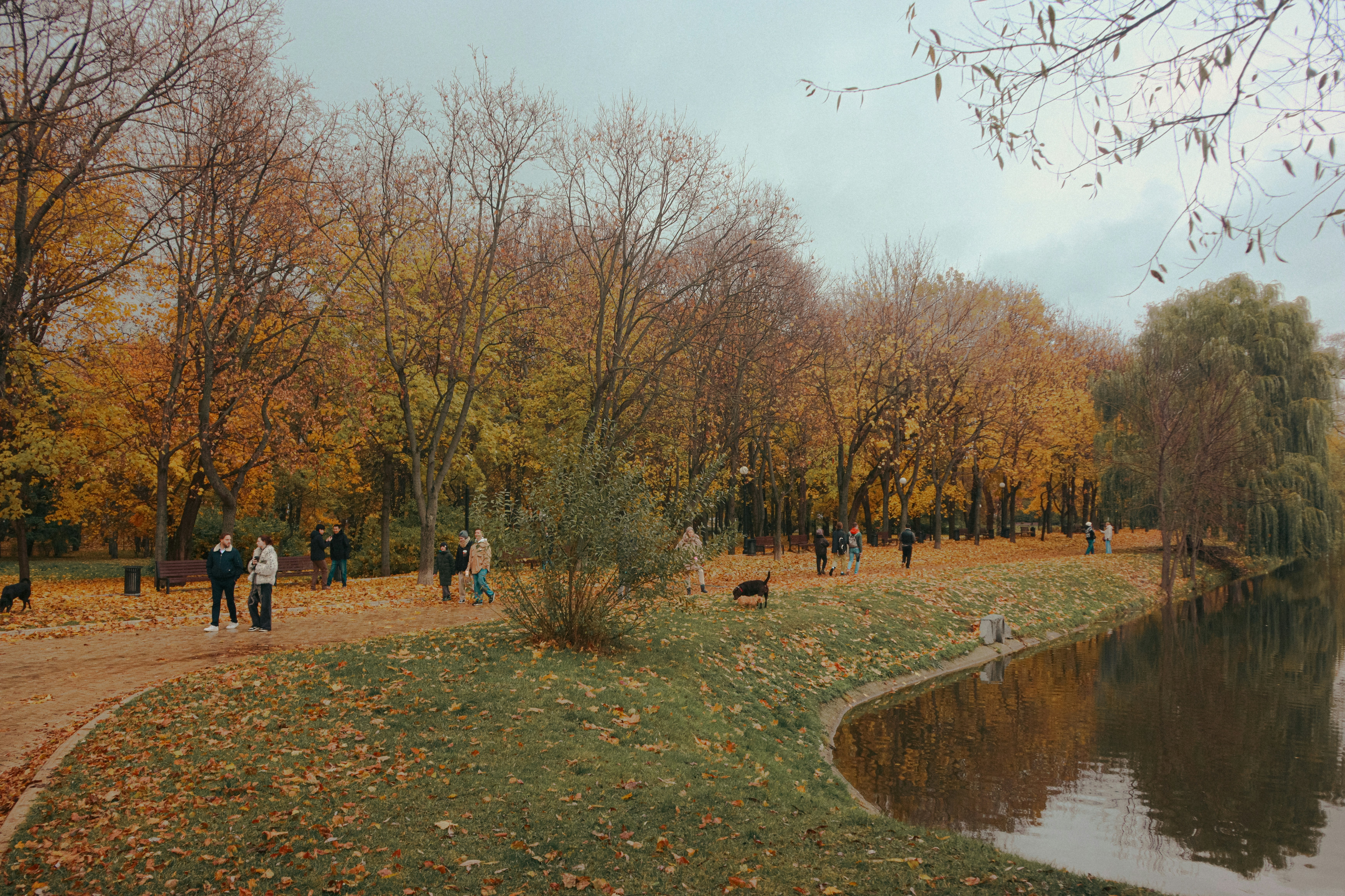 A group of people walking around a park next to a lake photo – Free ...