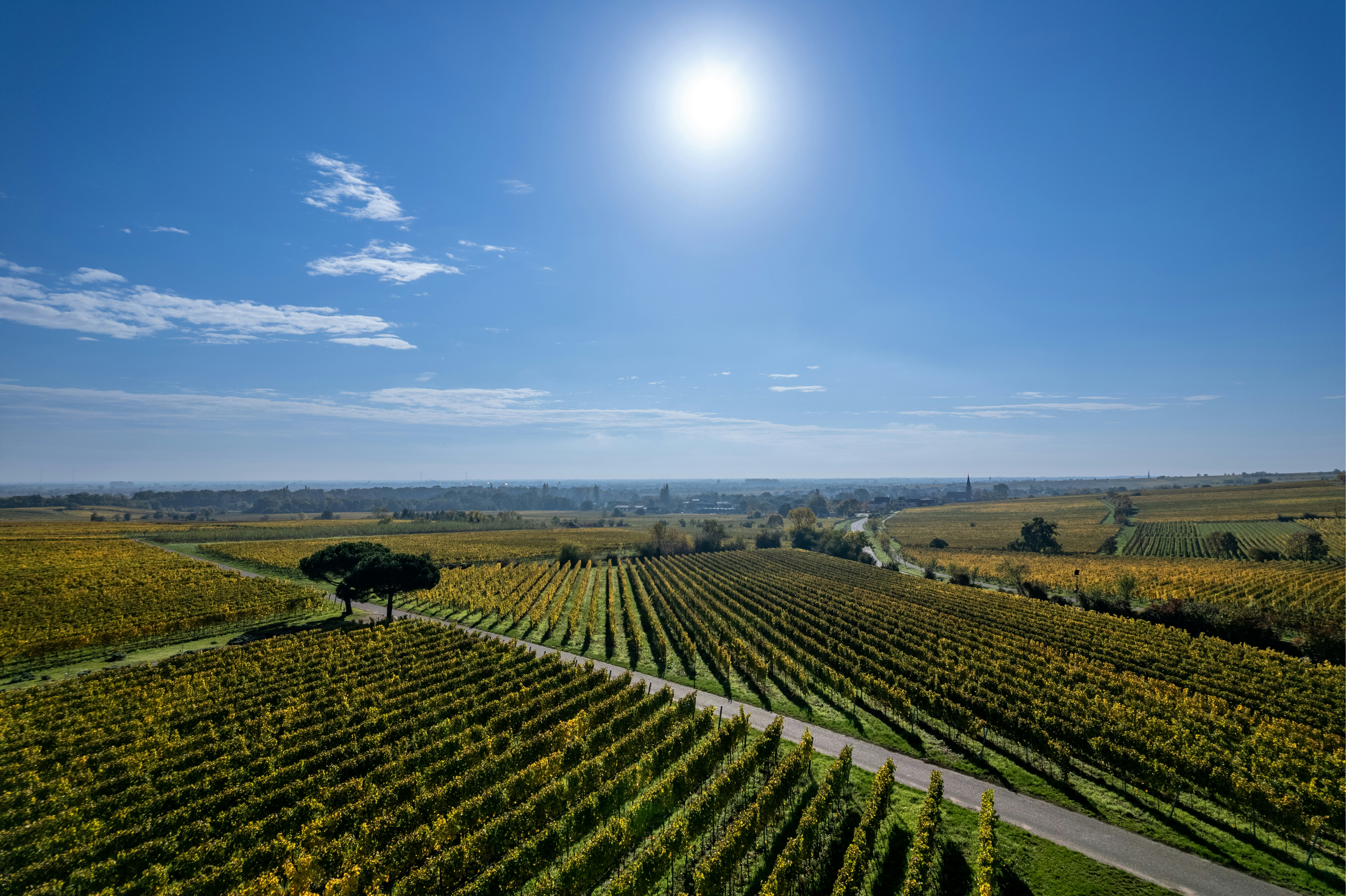 Photo by Bernd 📷 Dittrich with DJI Air 2S