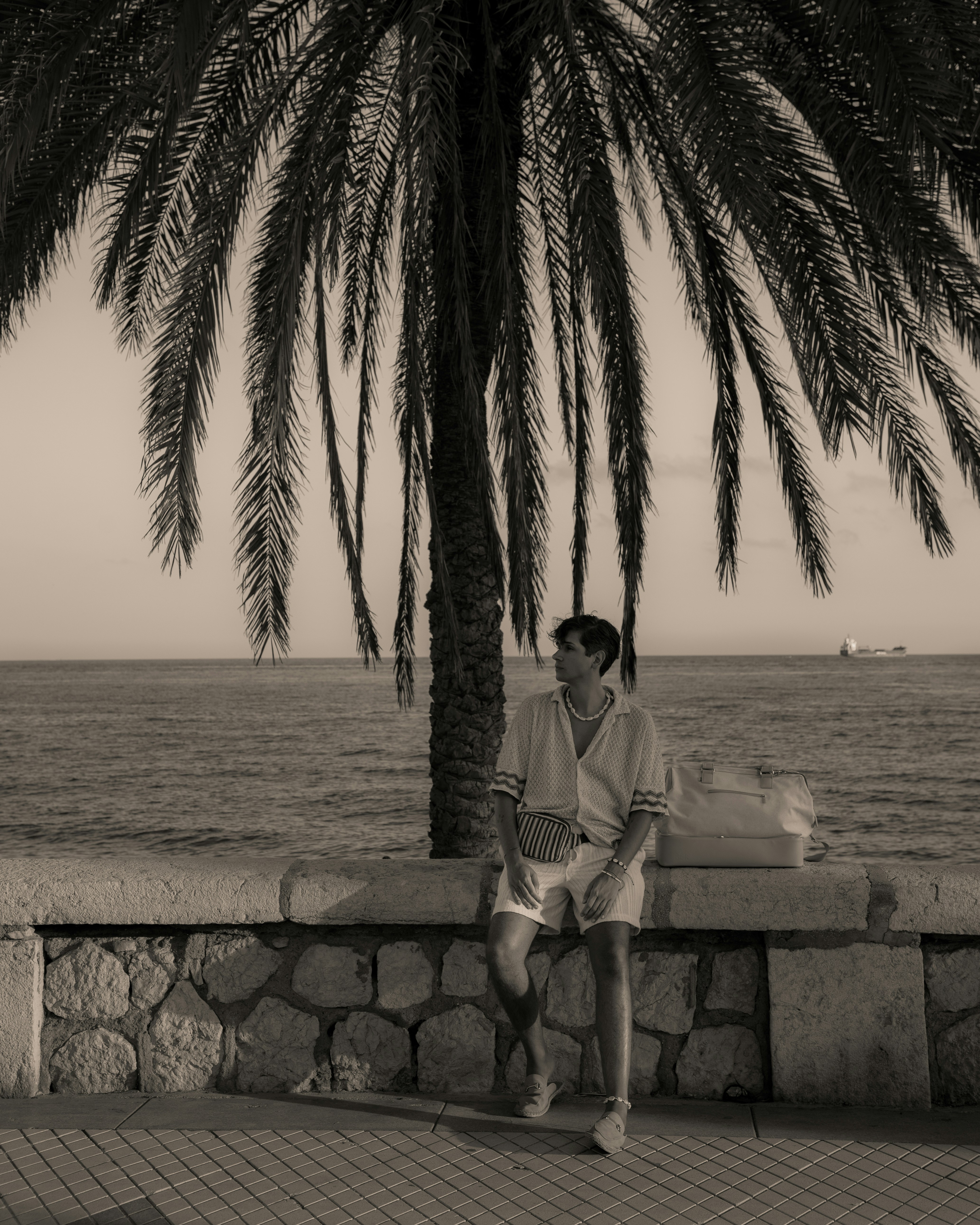Individual sitting beside a palm tree on a coastal promenade, with the ocean in the background. The scene captures a tranquil atmosphere in monochrome.