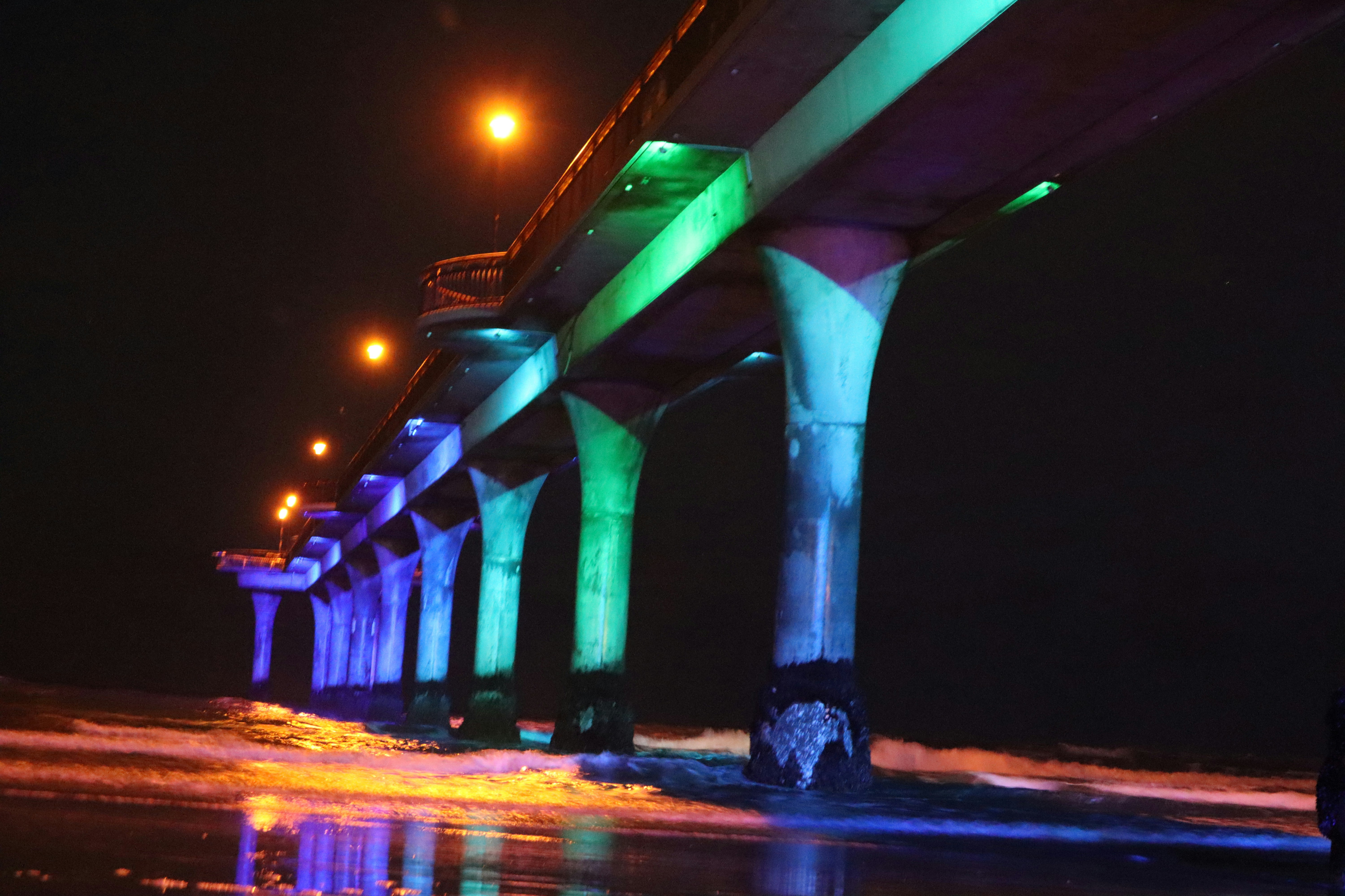 Fiona Bowden (@fibowden) | Unsplashフォトコミュニティ