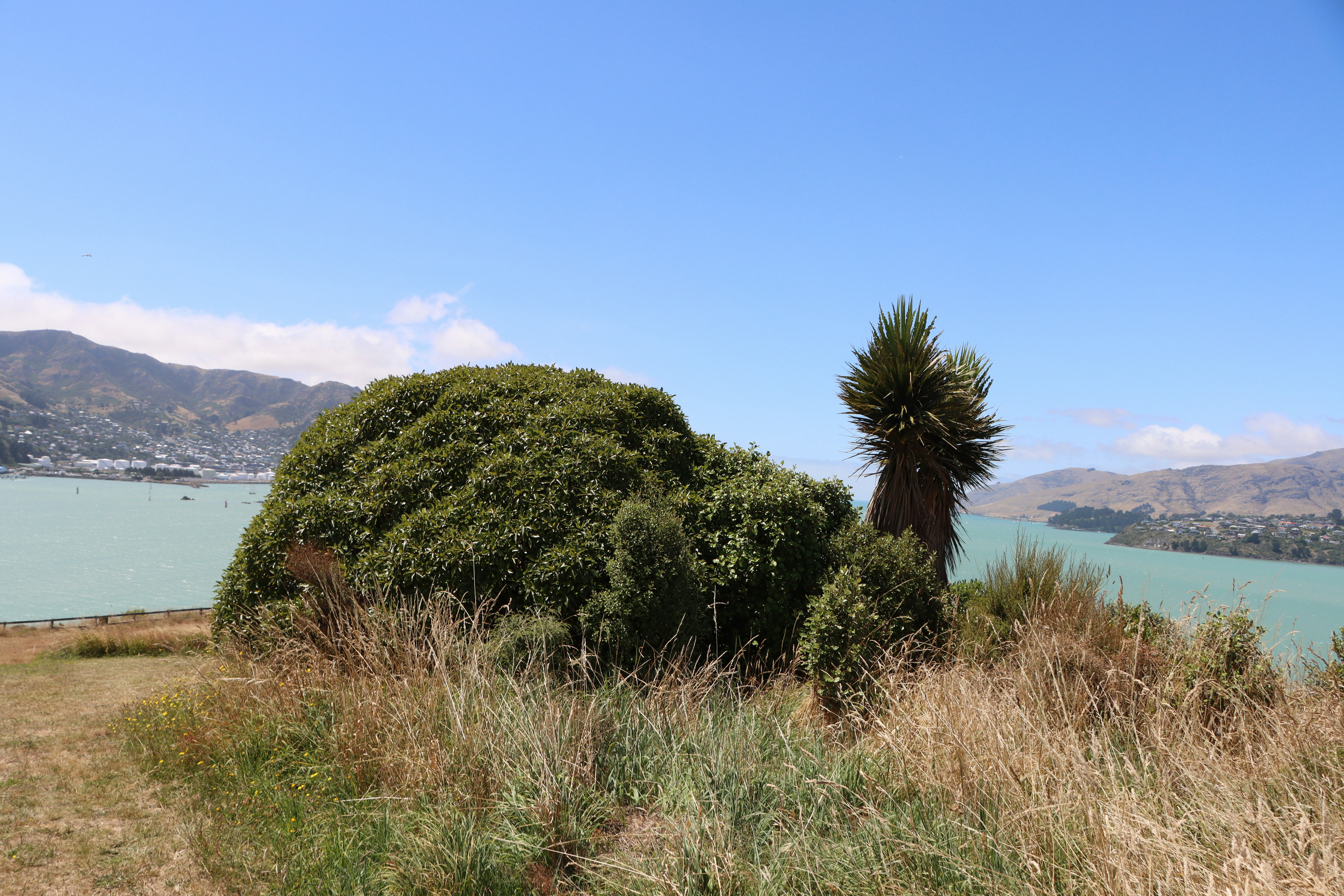 Fiona Bowden (@fibowden) | Unsplashフォトコミュニティ