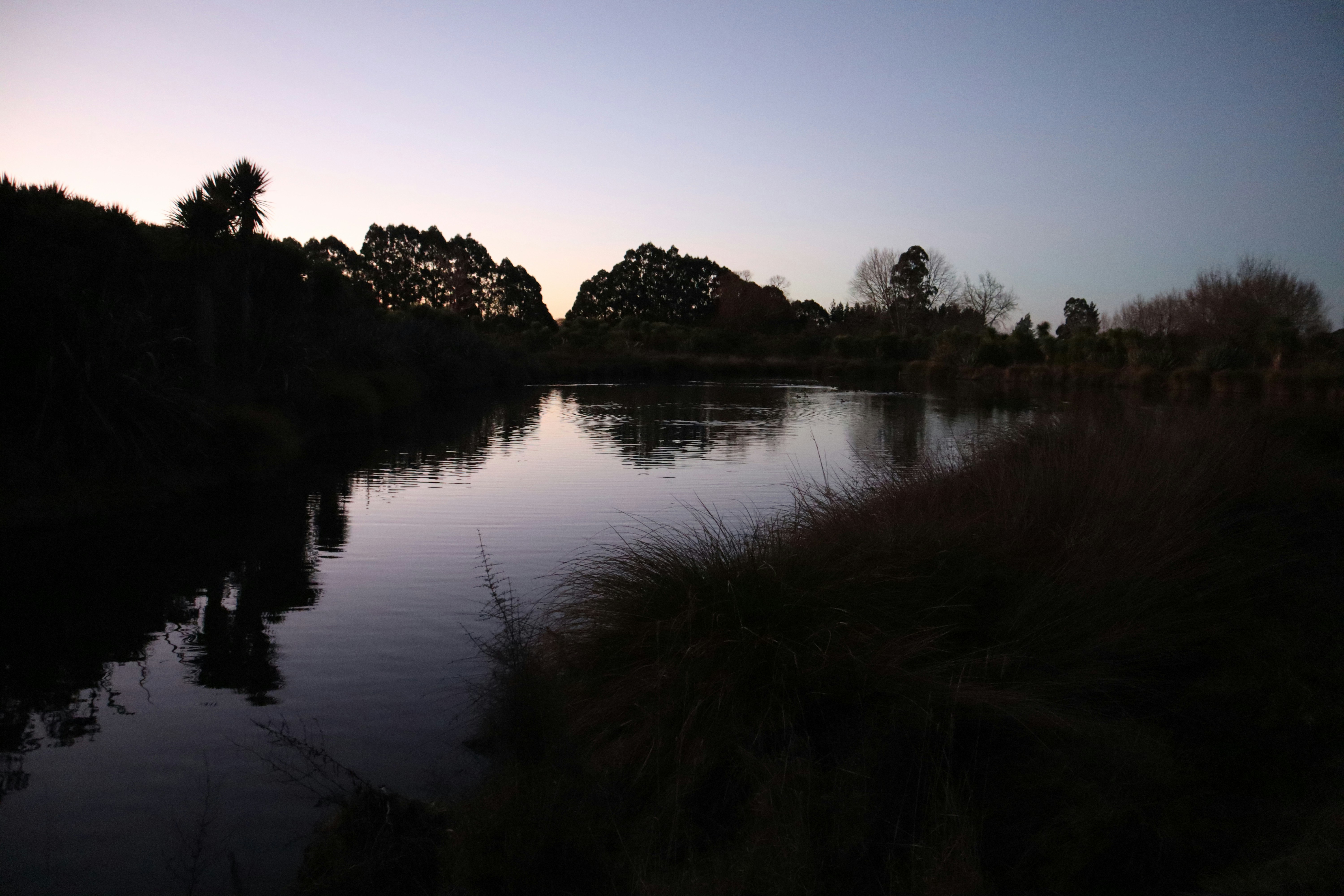 Fiona Bowden (@fibowden) | Unsplashフォトコミュニティ