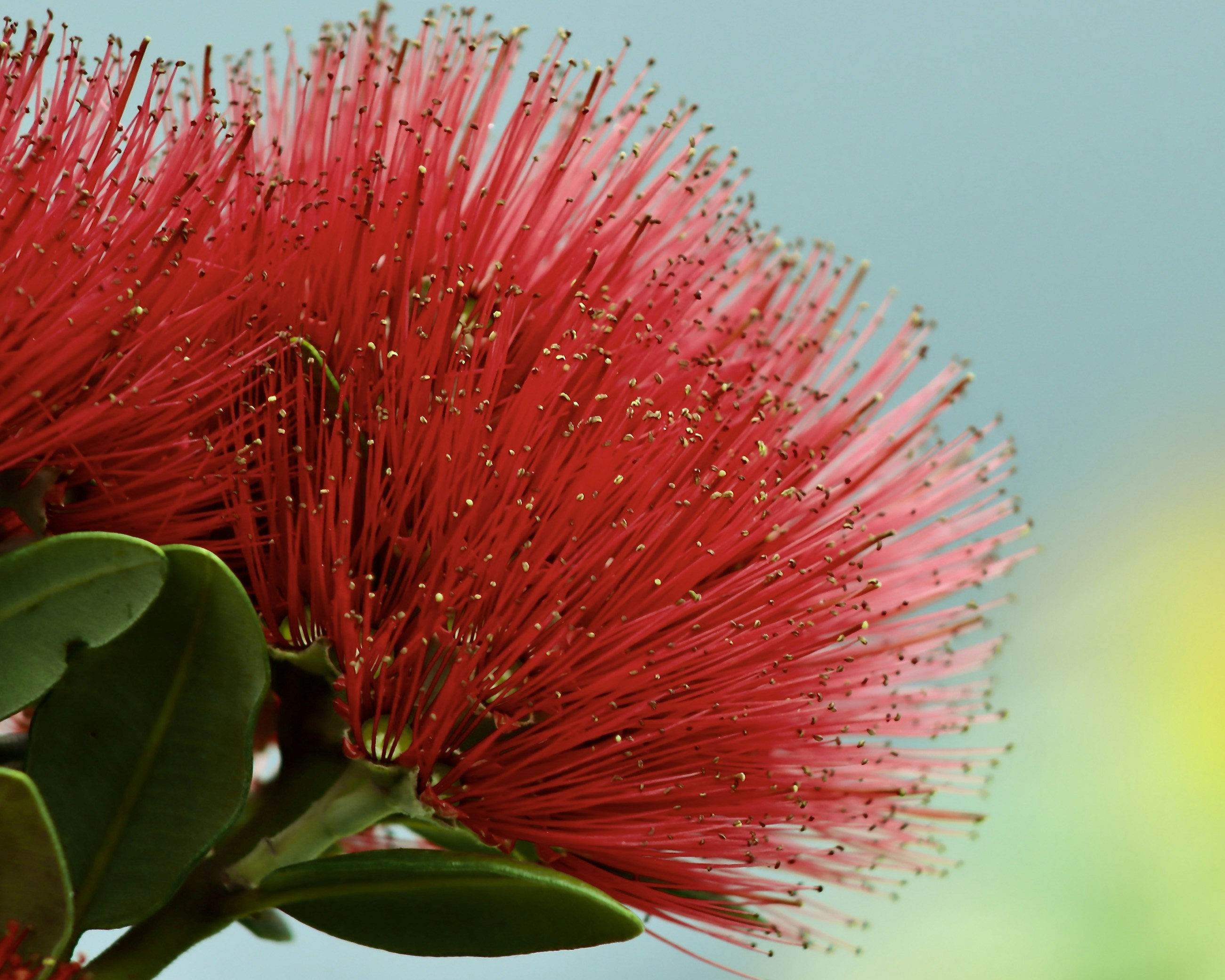 Fiona Bowden (@fibowden) | Unsplashフォトコミュニティ