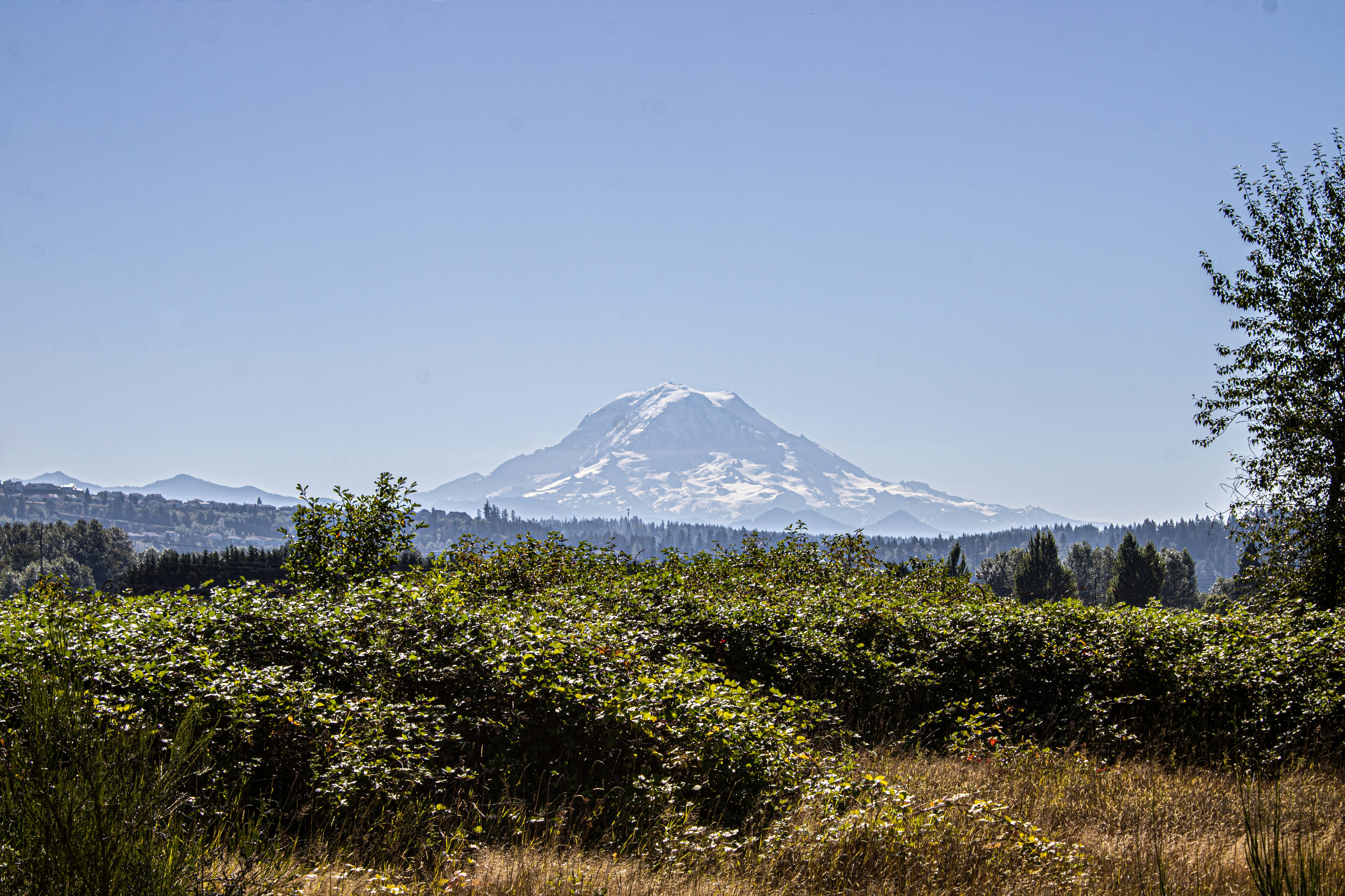 A field with a mountain in the background photo – Free Alderton Image ...