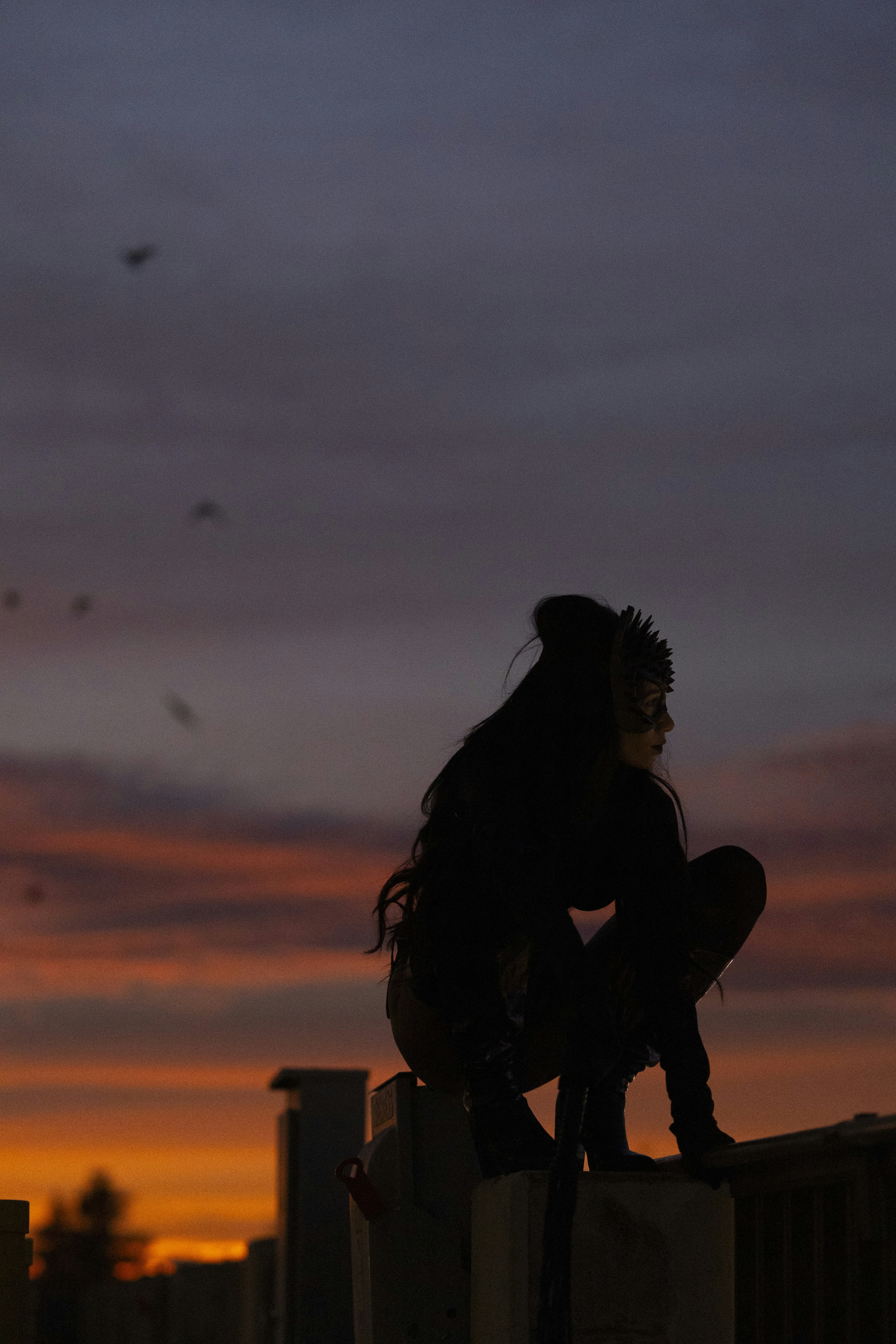 Silhouette of a person perched on a rooftop railing at sunset, with birds in the sky and a warm orange-pink horizon. This photograph emphasizes mood and rooftop composition.