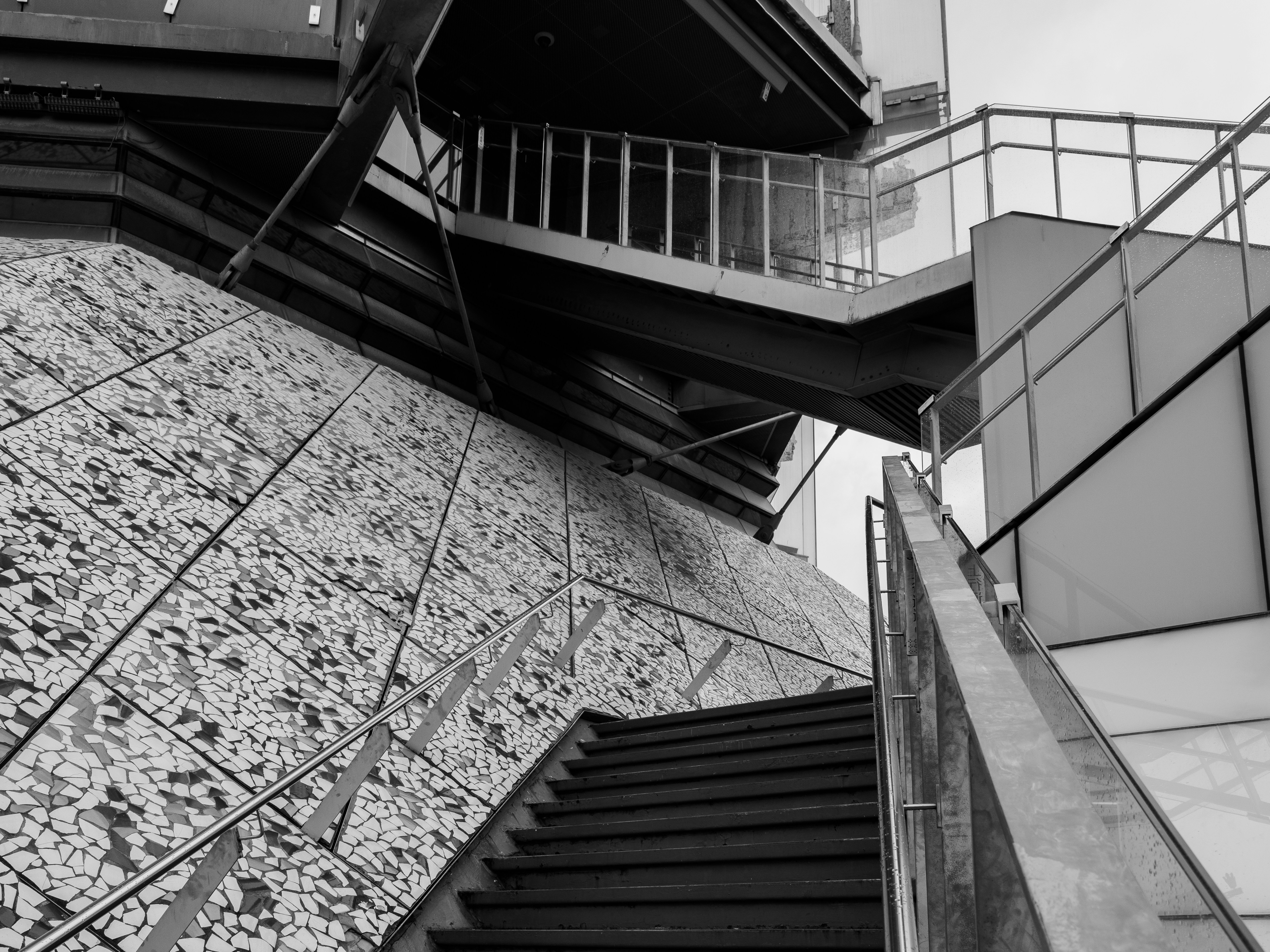 Photo by Declan Sun with OM System OM-1 Mark II