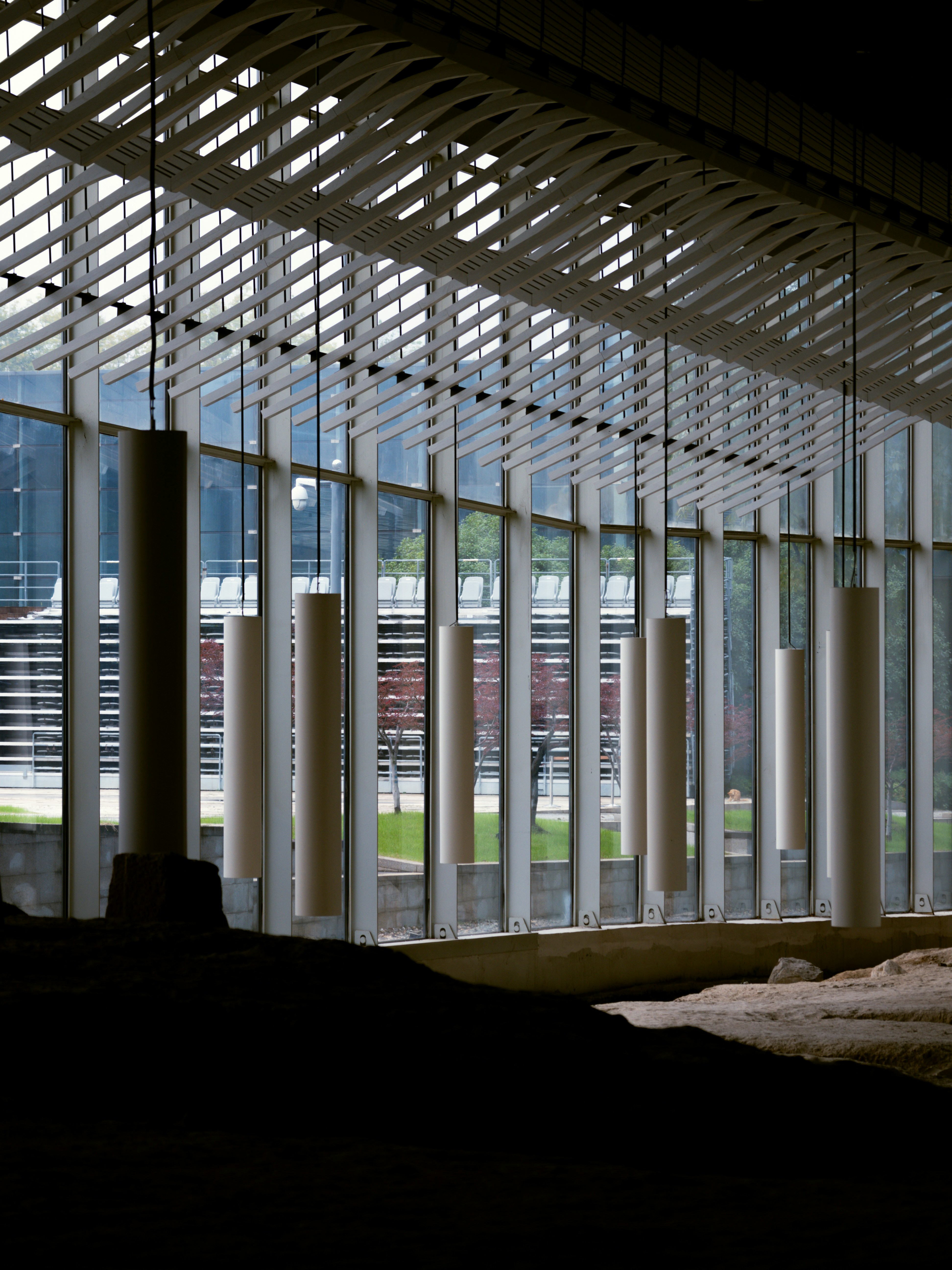 Photo by Declan Sun with OM System OM-1 Mark II