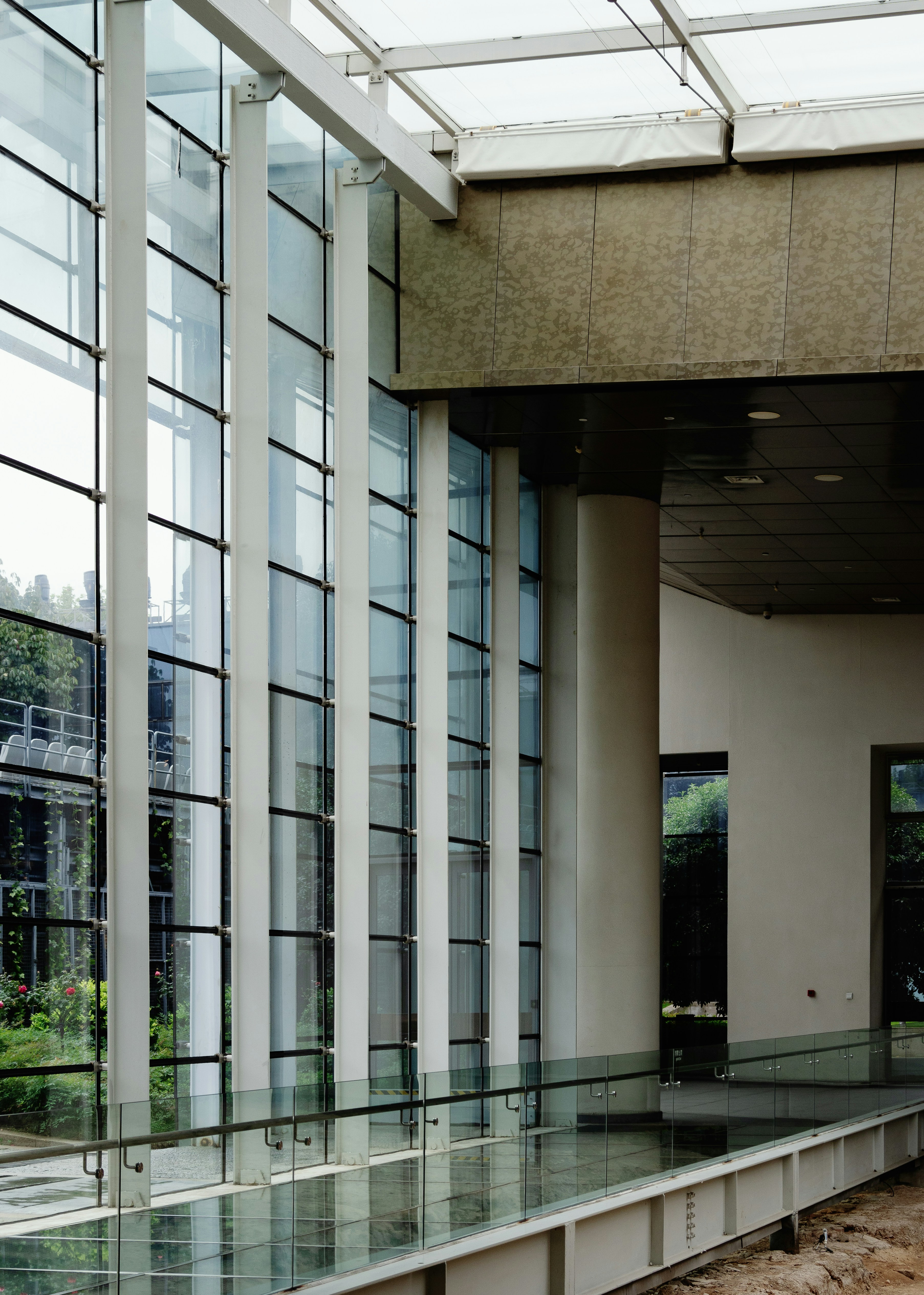 Photo by Declan Sun with OM System OM-1 Mark II