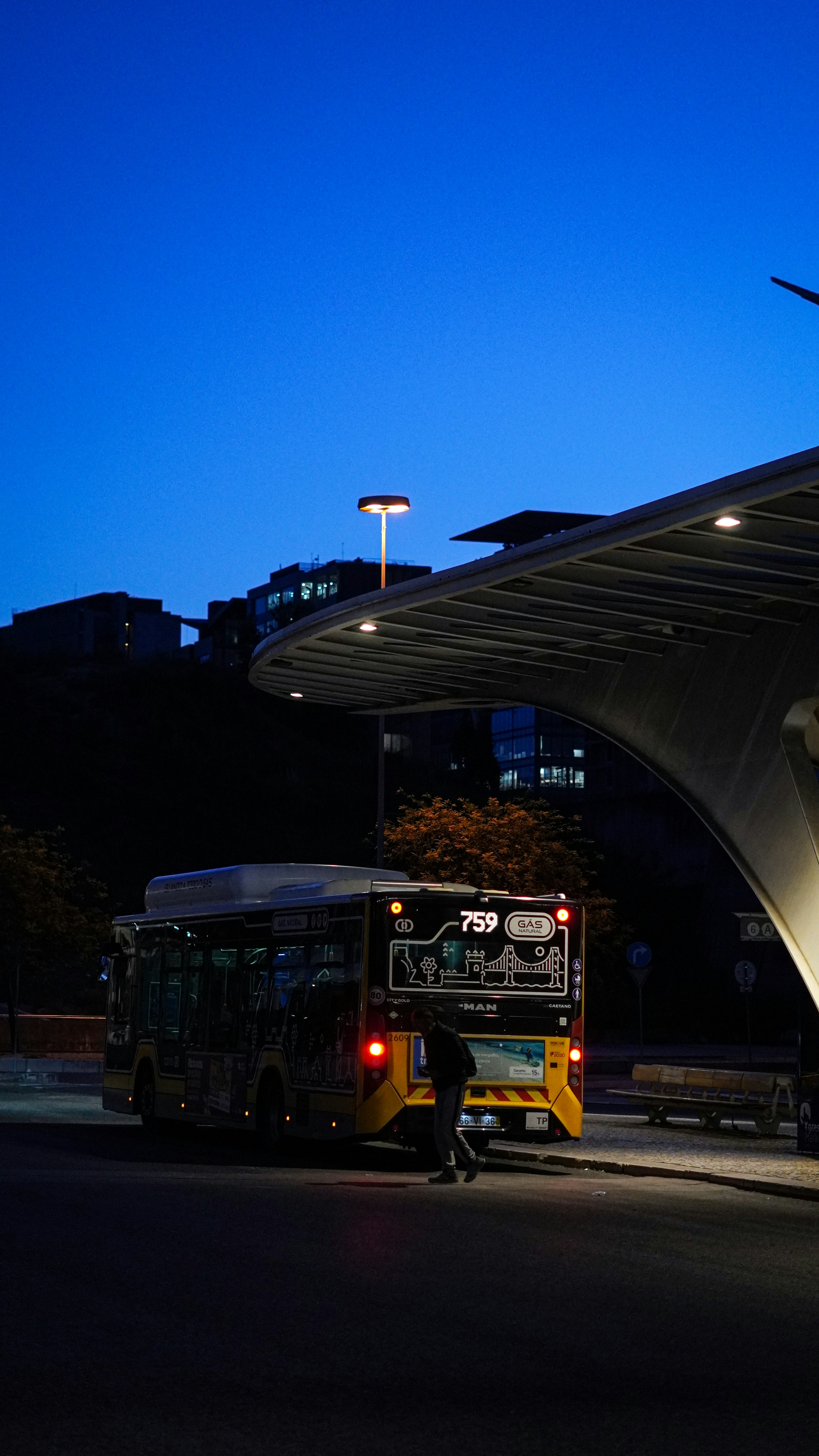 Blue Hour Bus Stop: Neon Backlights Under a Curved Canopy