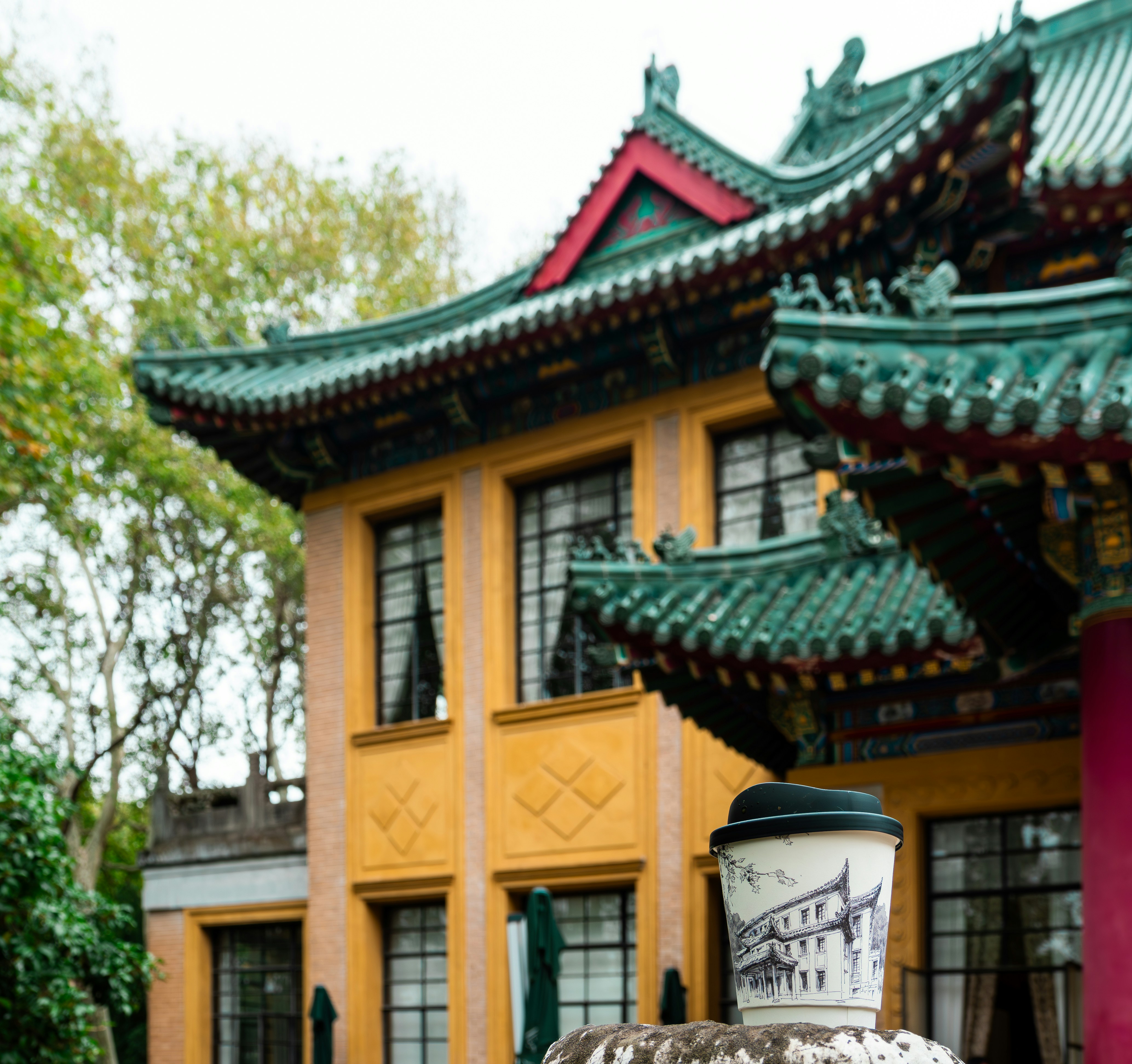 Photo by Declan Sun with OM System OM-1 Mark II