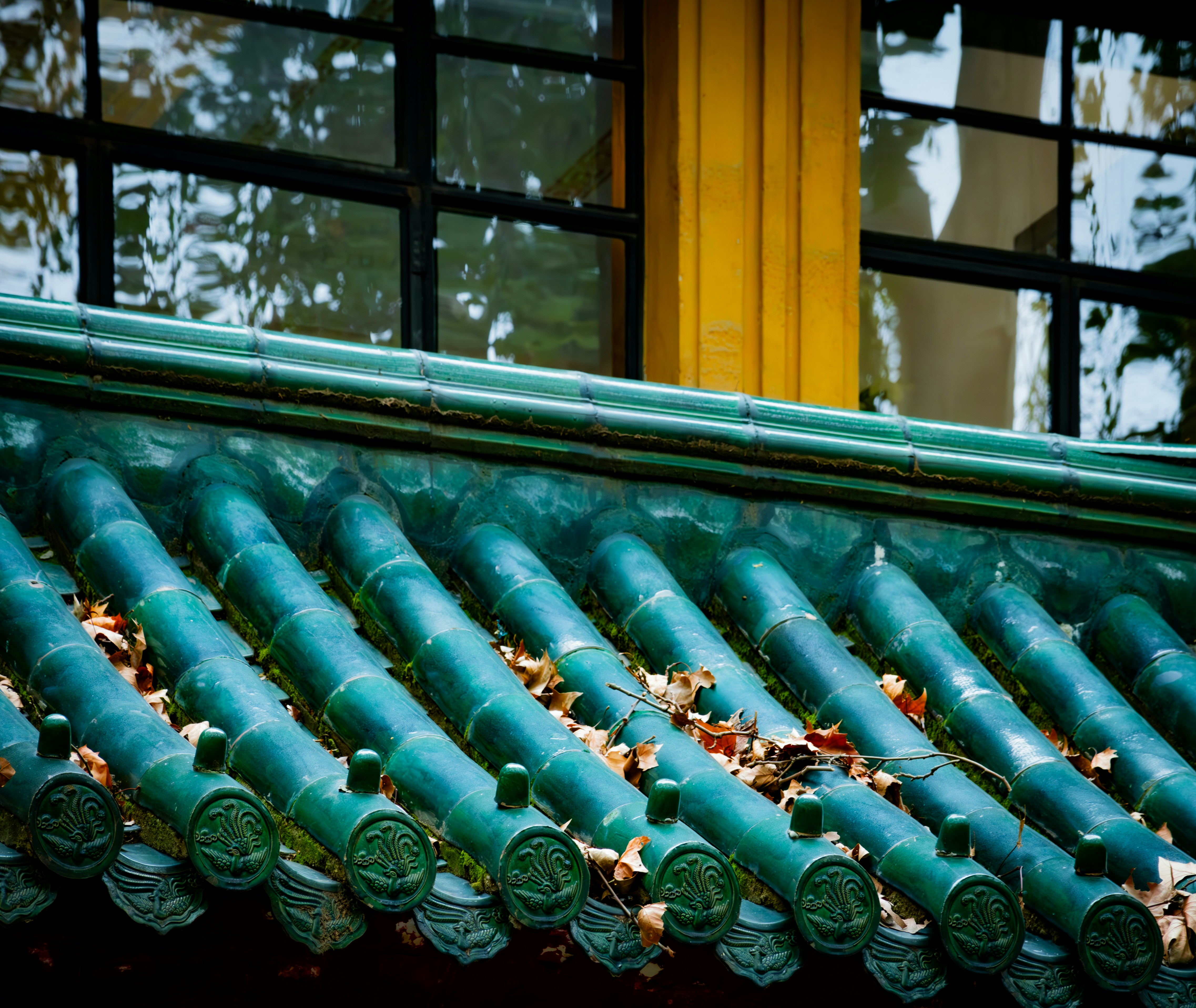 Emerald Tiles and Golden Frames: Quiet Autumn on a Chinese Roofline