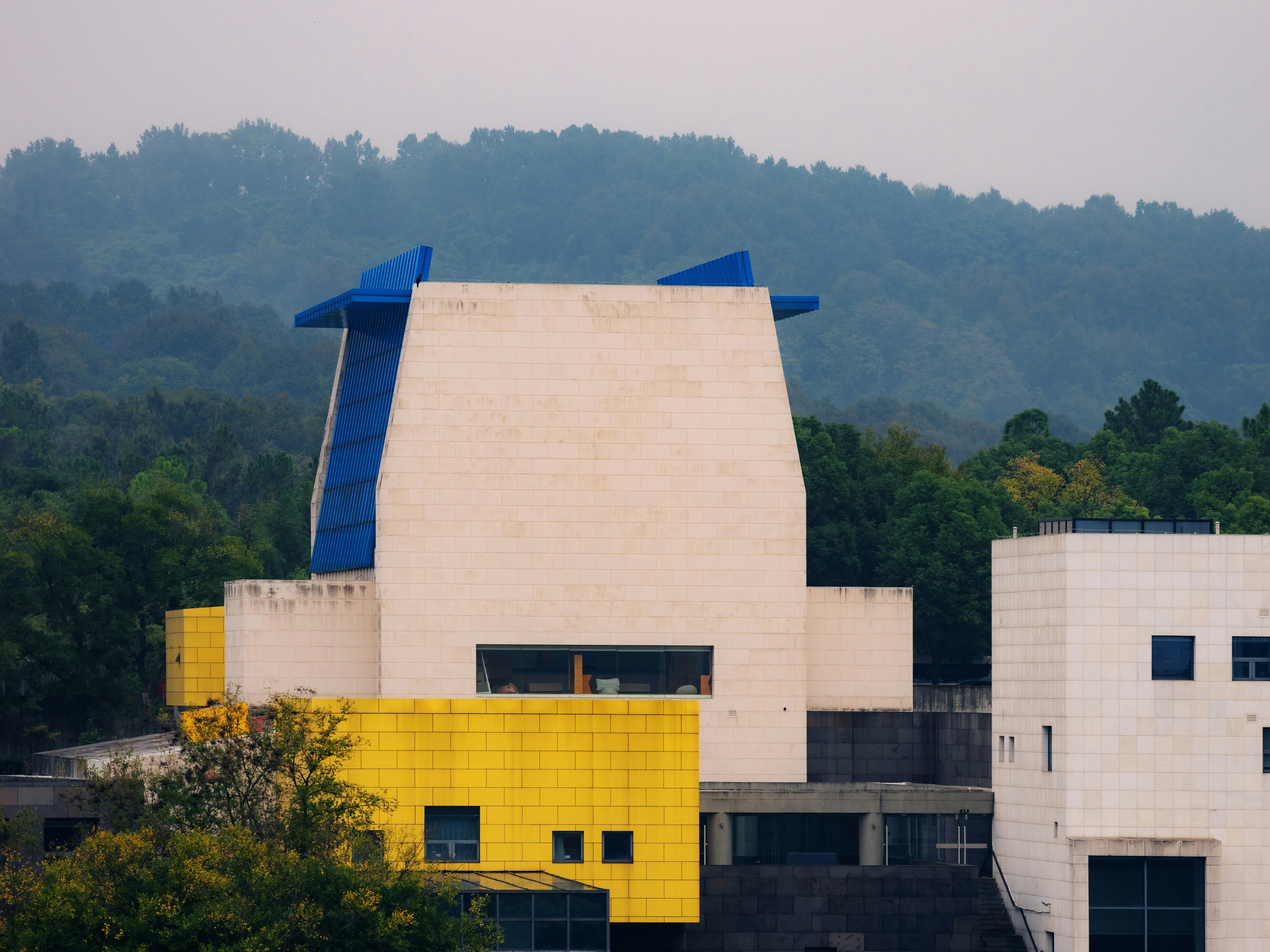Color-Block Facade: A Modern Campus Monolith Rising Against the Trees
