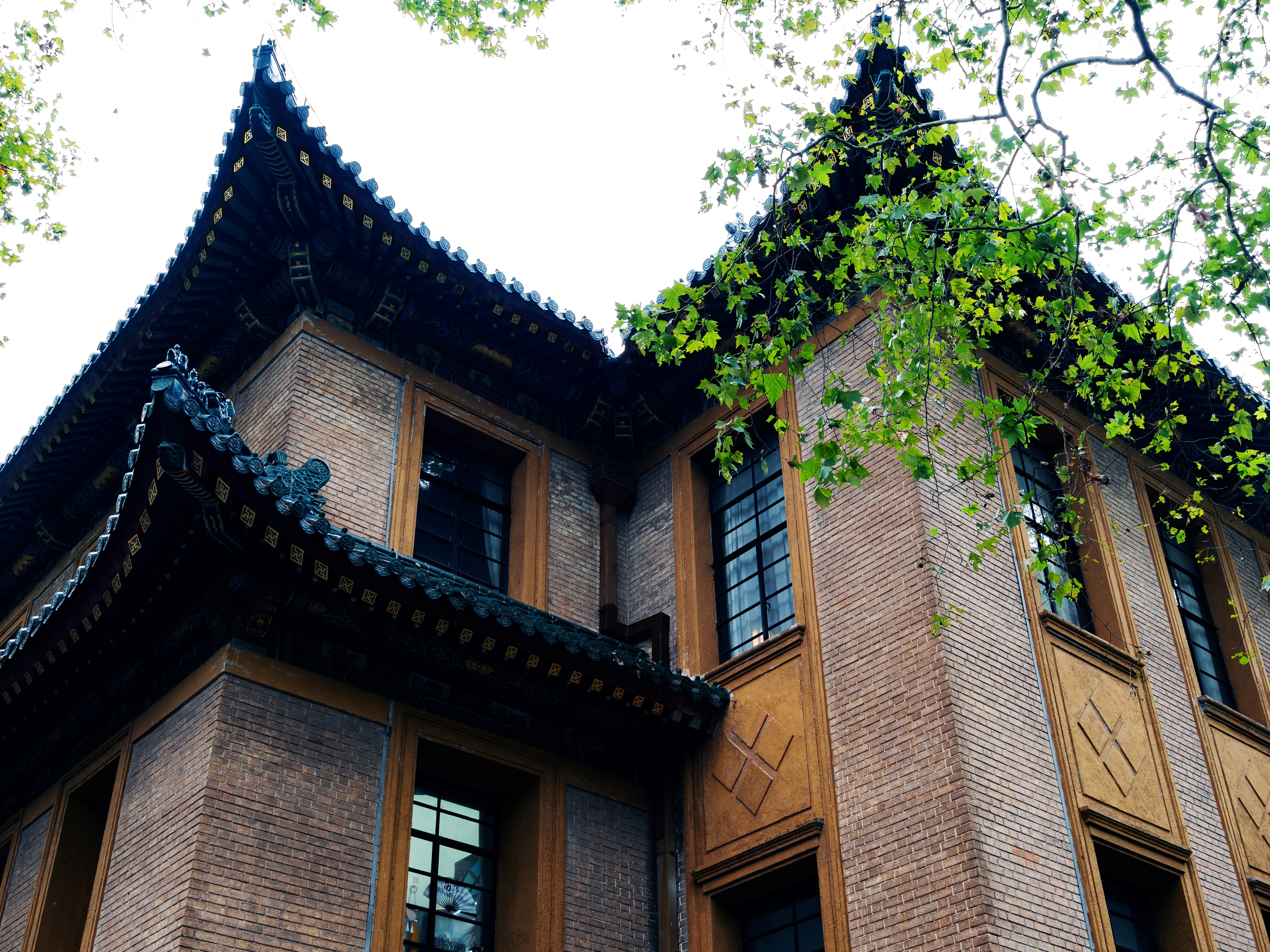 Courtyard Eaves: Brickwork and Green Canopy in Quiet Light