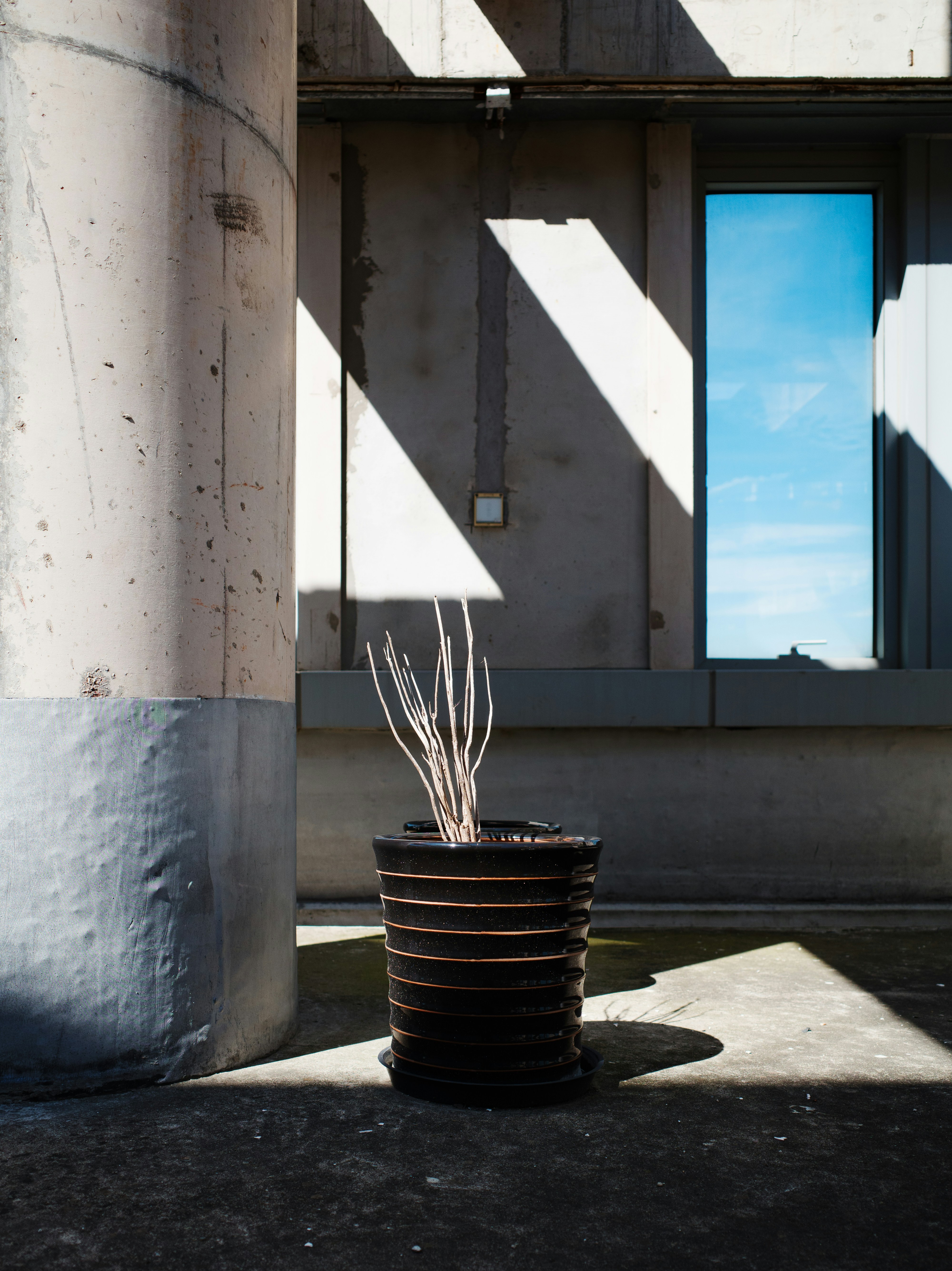 Photo by Declan Sun with Ricoh GR III HDF