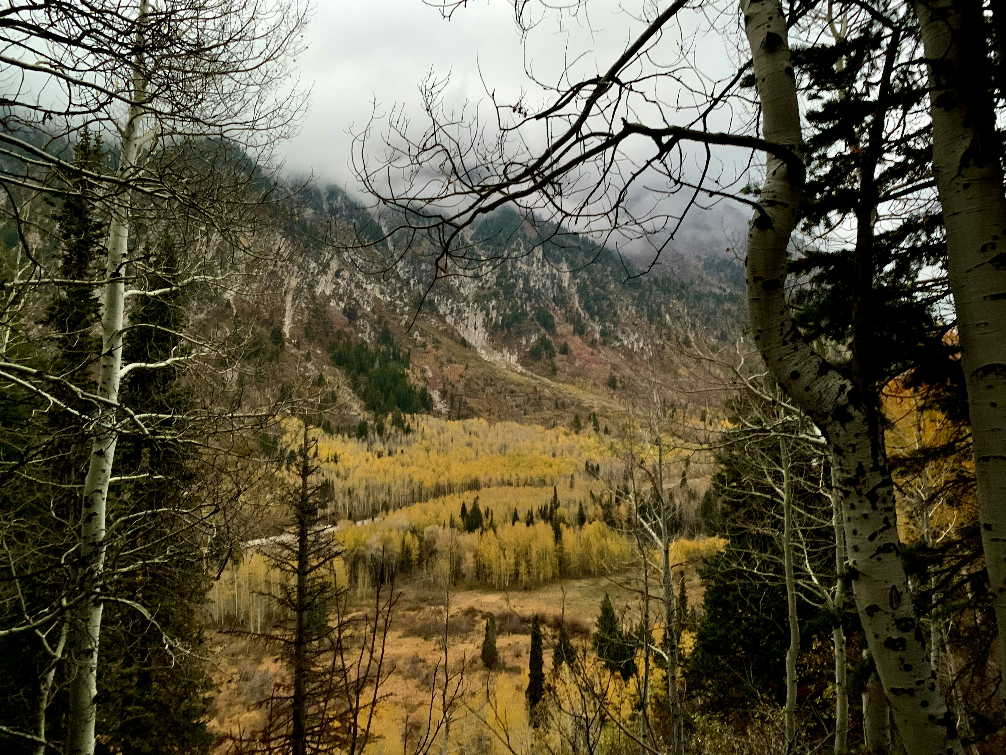 Photo by Nichole Willoughby with Apple iPhone XR