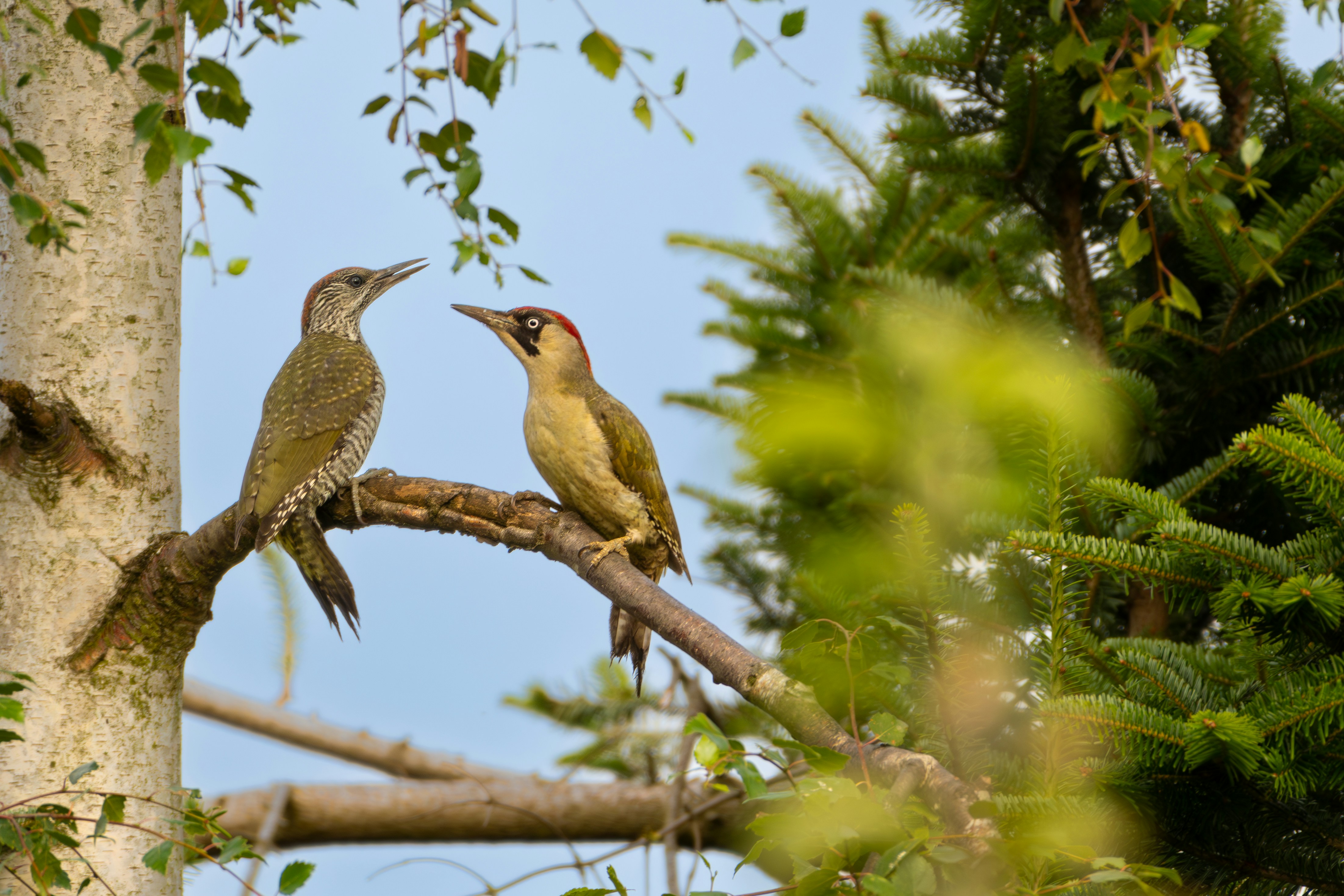 Kevin Yates (@kevinyates64) | Komunitas Foto Unsplash