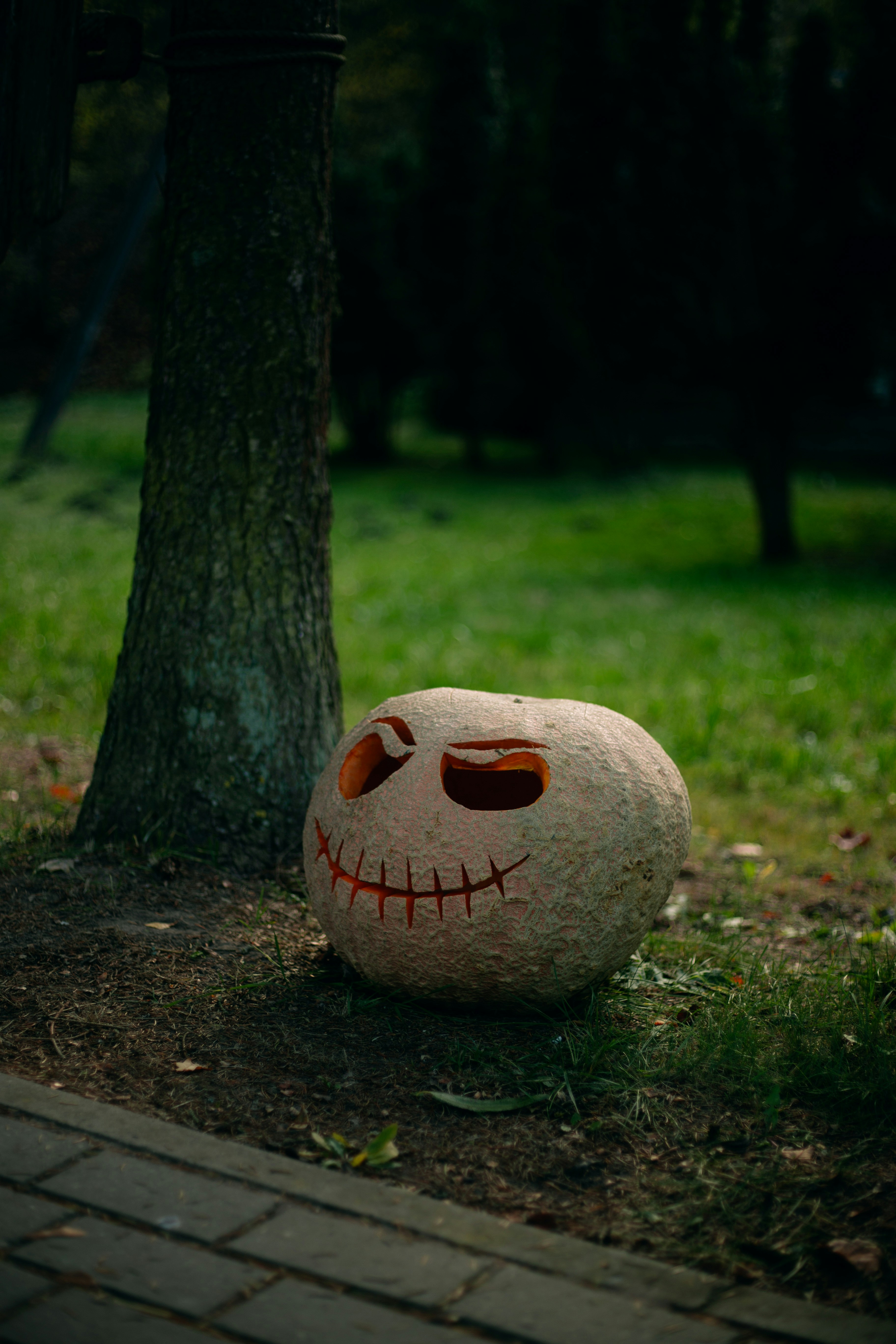 Smiling Skull on the Edge of the Park