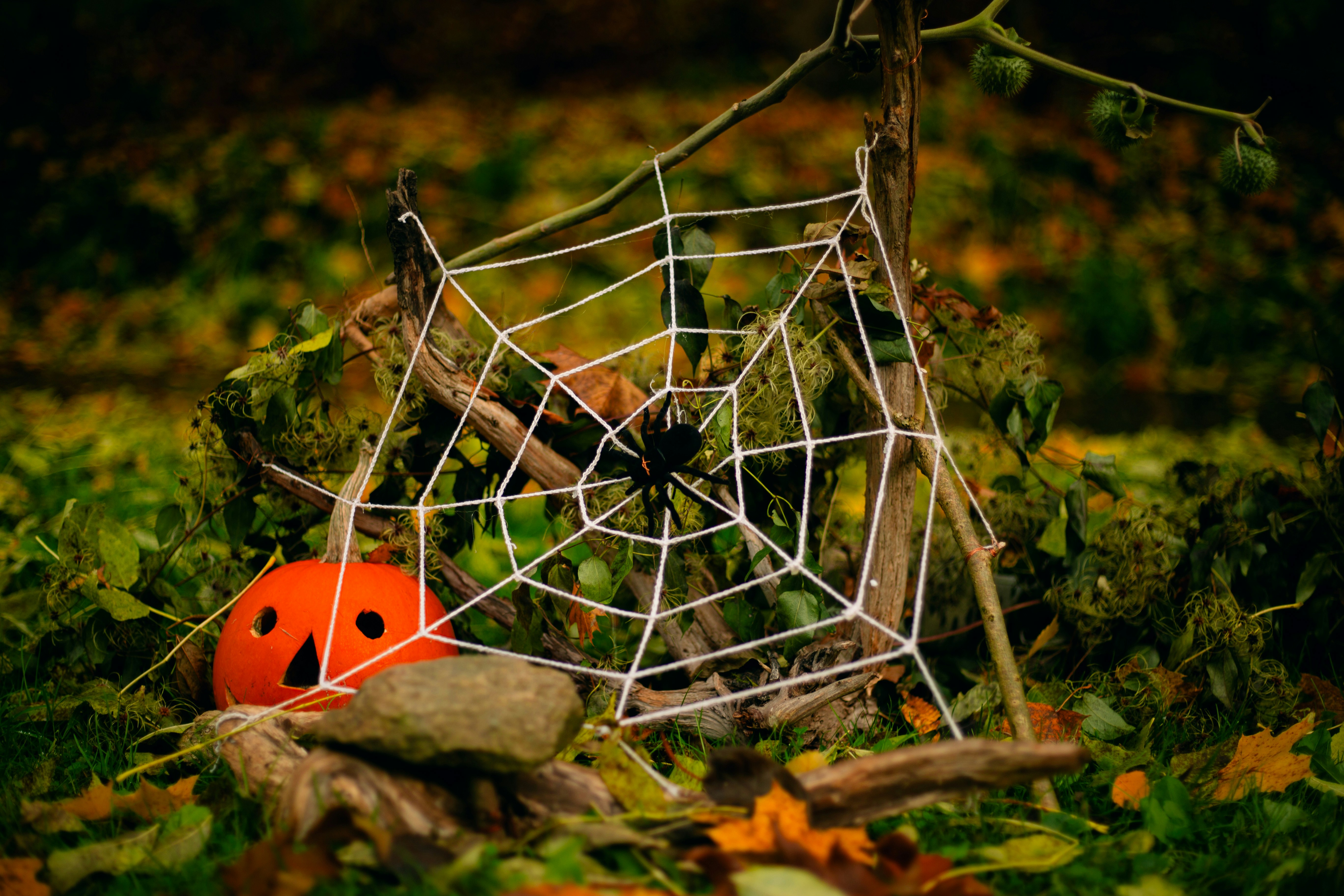 Halloween Hollow: The Spider Web and the Orange Lantern