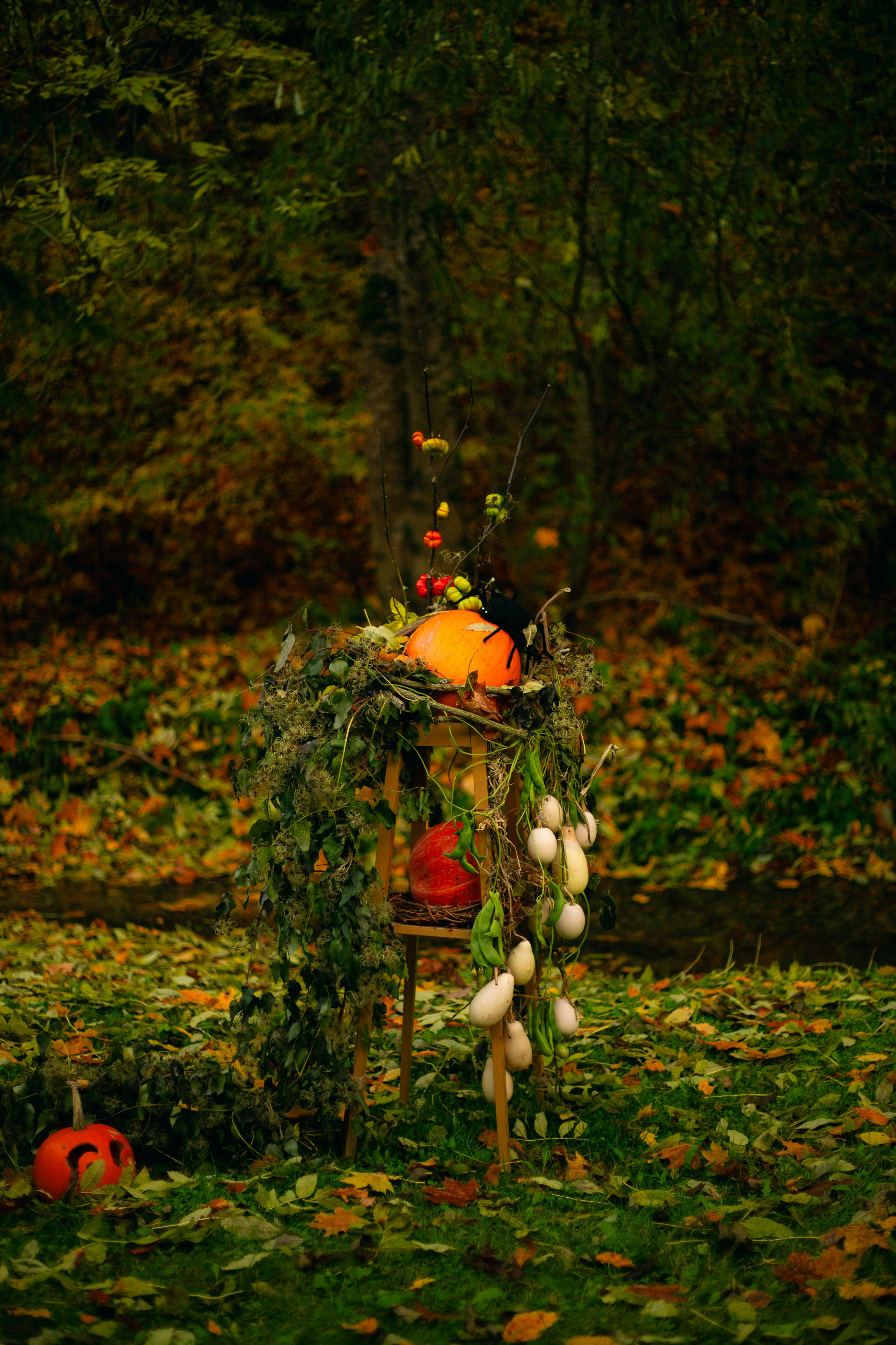 Autumn Altar in the Forest: Pumpkins, Greens, and Hanging Gourds